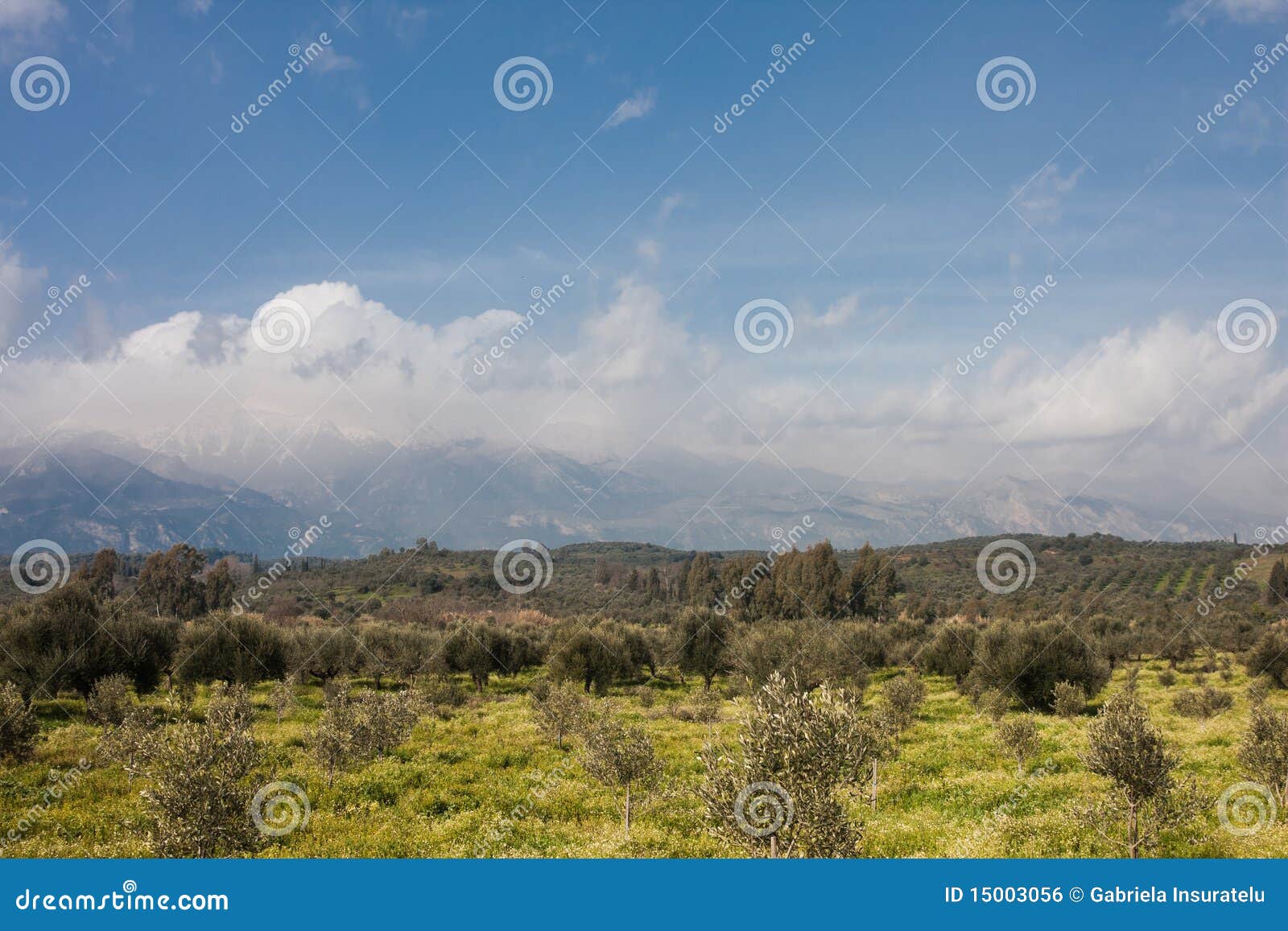 Taygetos Mountains stock photo. Image of mountain, nature - 15003056