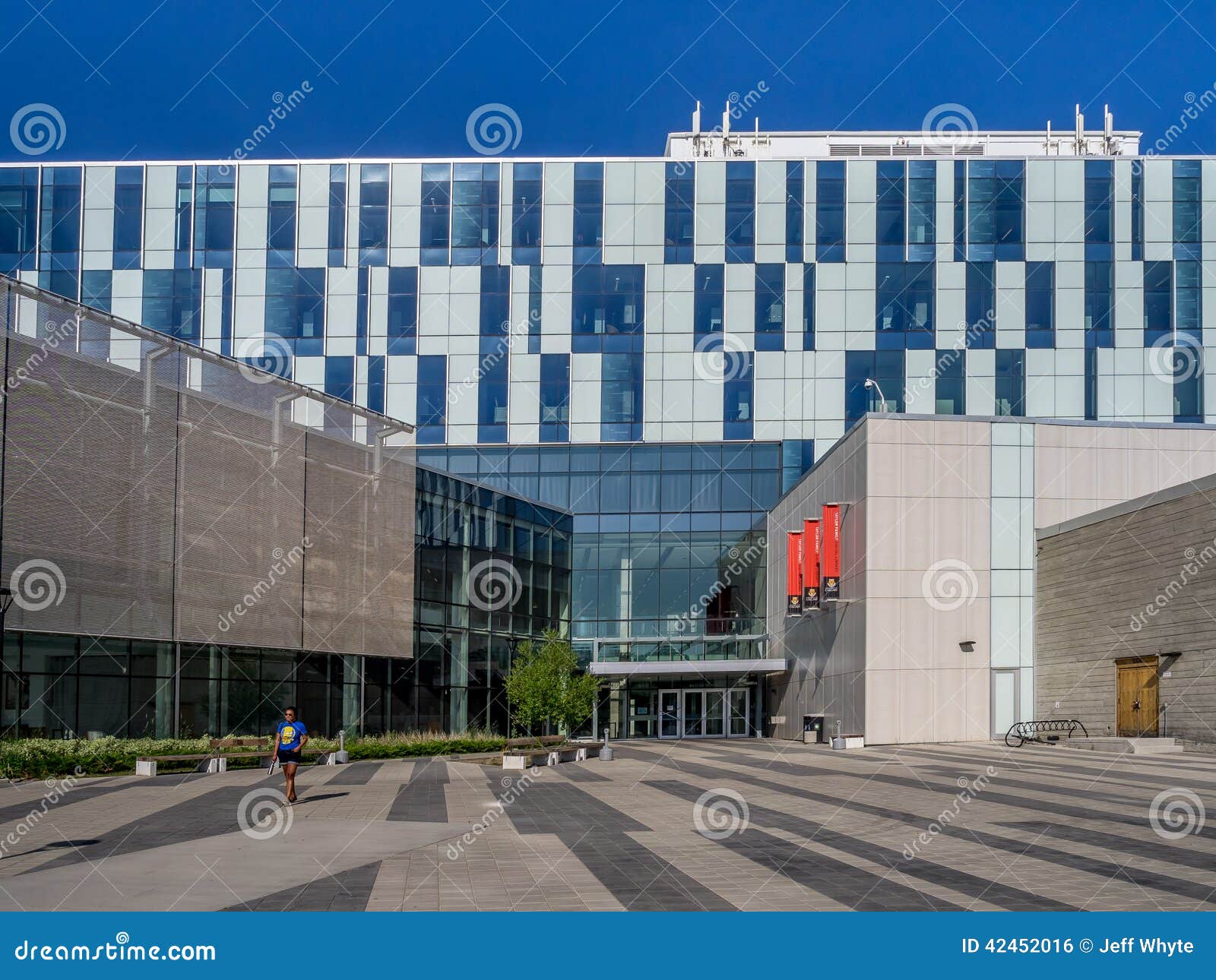 Taylor Family Digital Library Photo éditorial - Image du étudiant ...