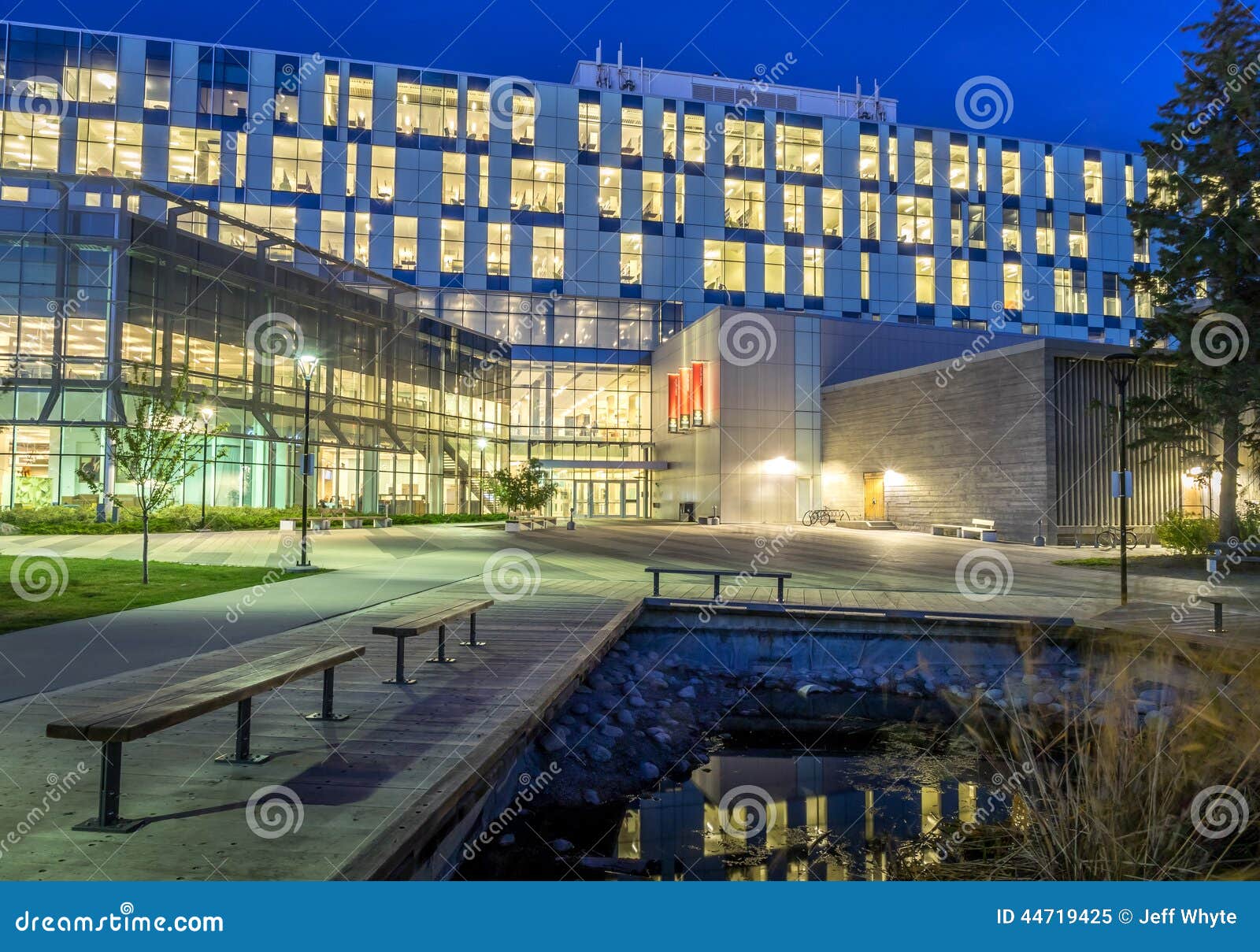 Taylor Family Digital Library Imagen de archivo - Imagen de universidad ...