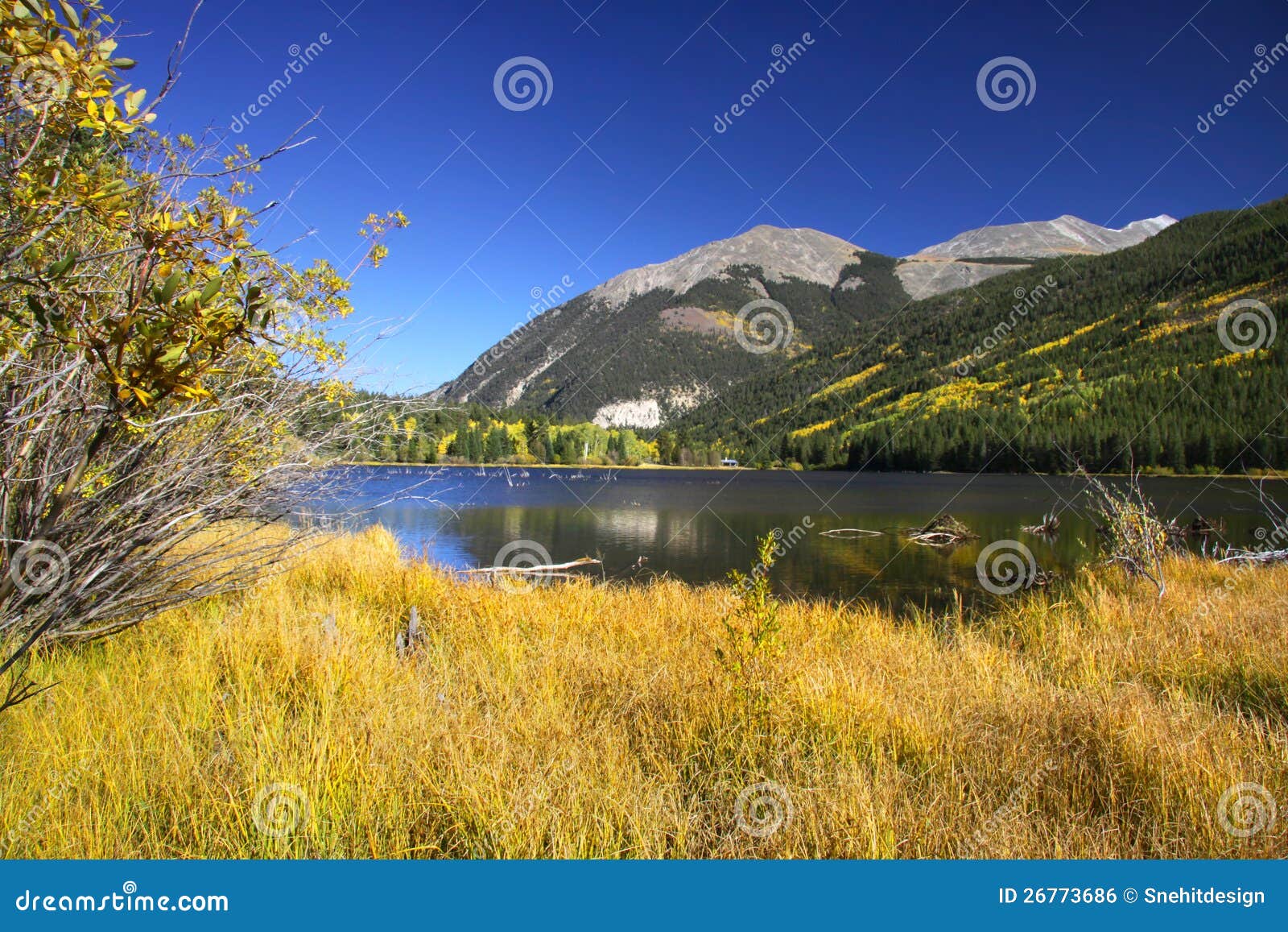 Taylor park reservoir stock photo. Image of lake, outdoors - 26773686