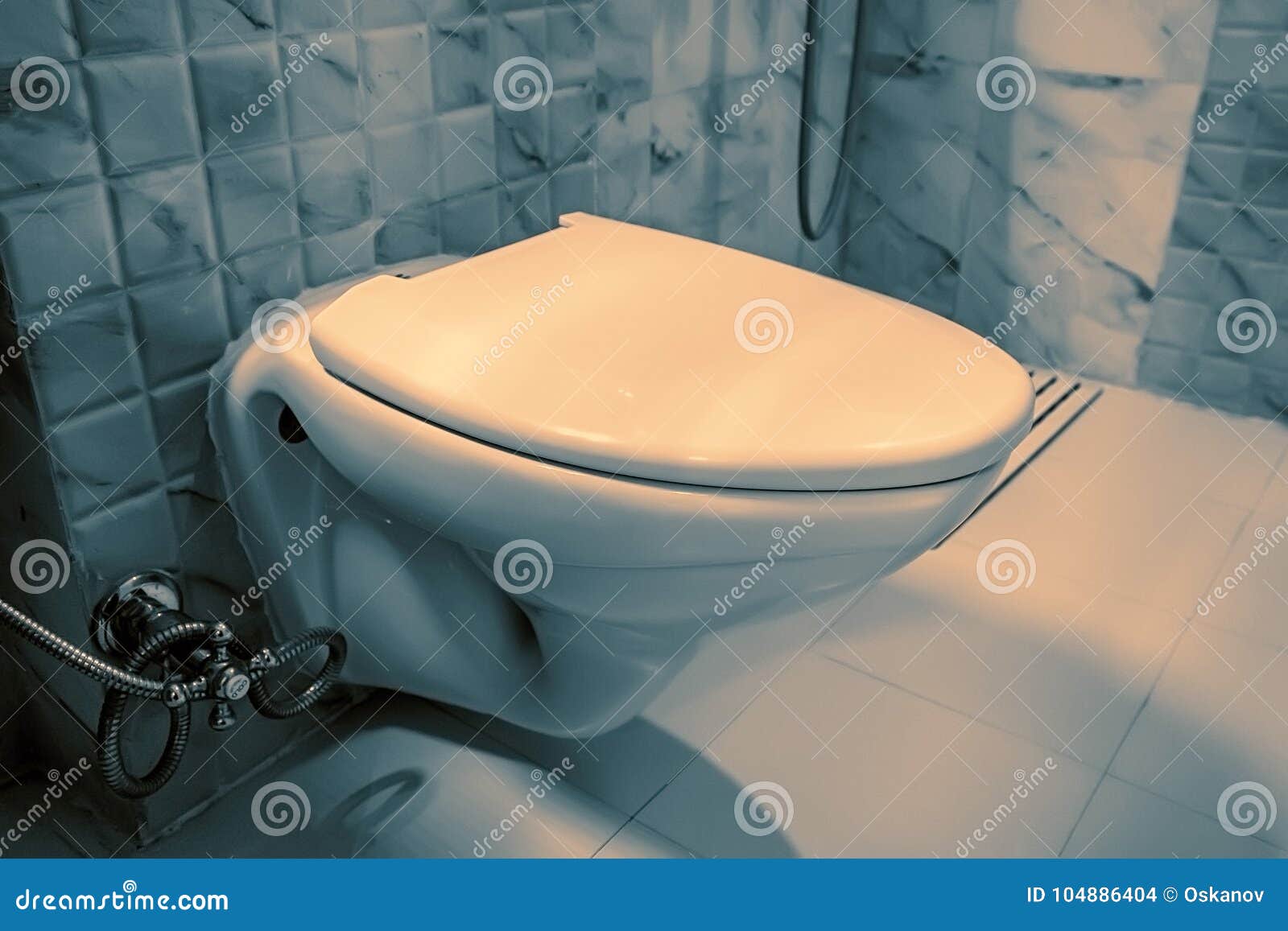 Taza Del Inodoro Rasante En Servicio Foto de archivo - Imagen de juan ...