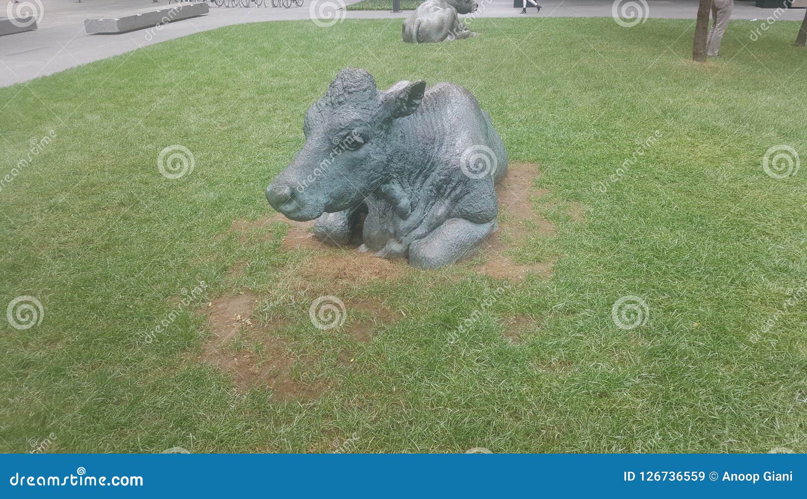 TD Cows Toronto Downtown Statue Editorial Stock Image - Image of statue ...