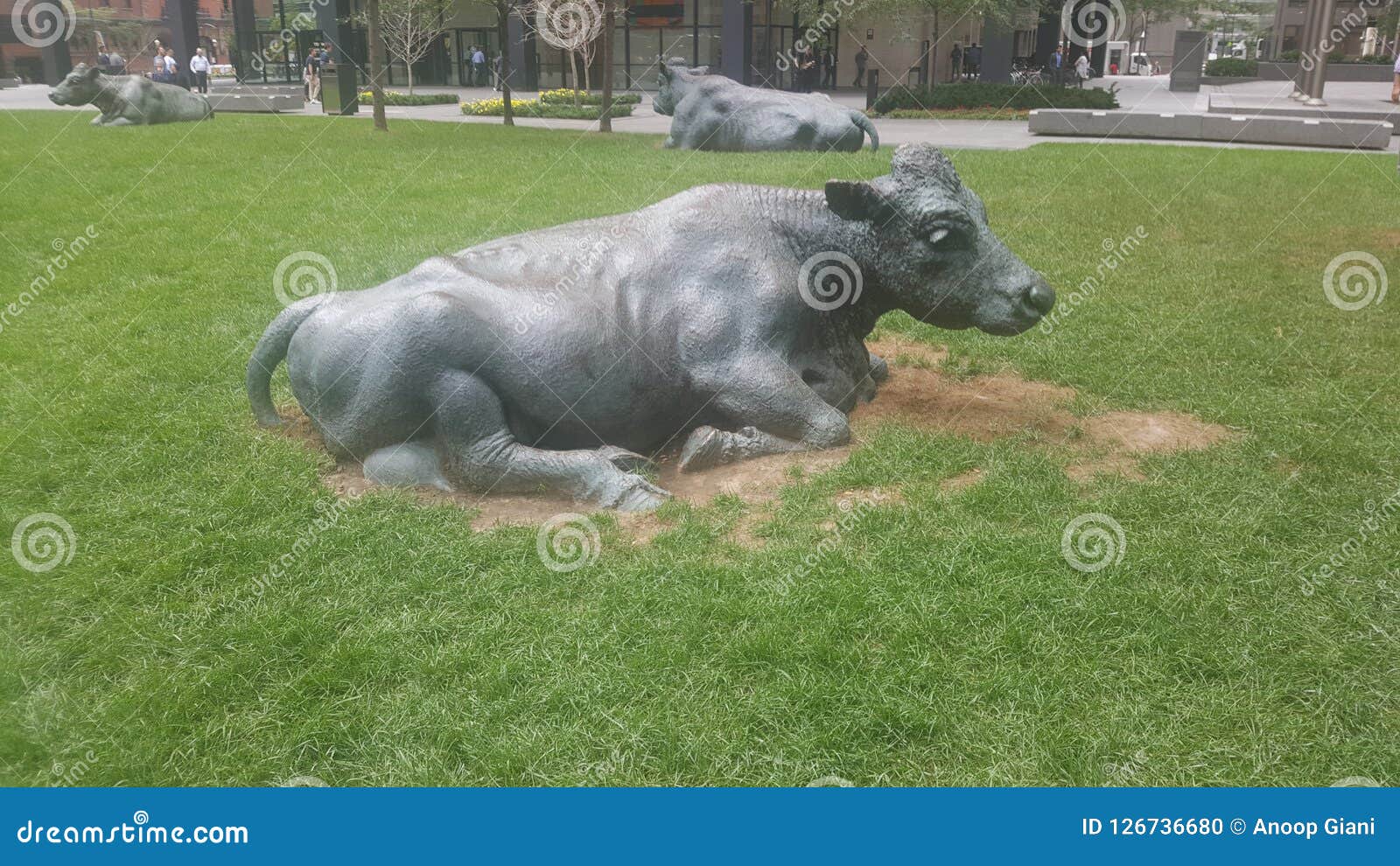 TD Cows Toronto Downtown Statue Editorial Image - Image of cows, statue ...