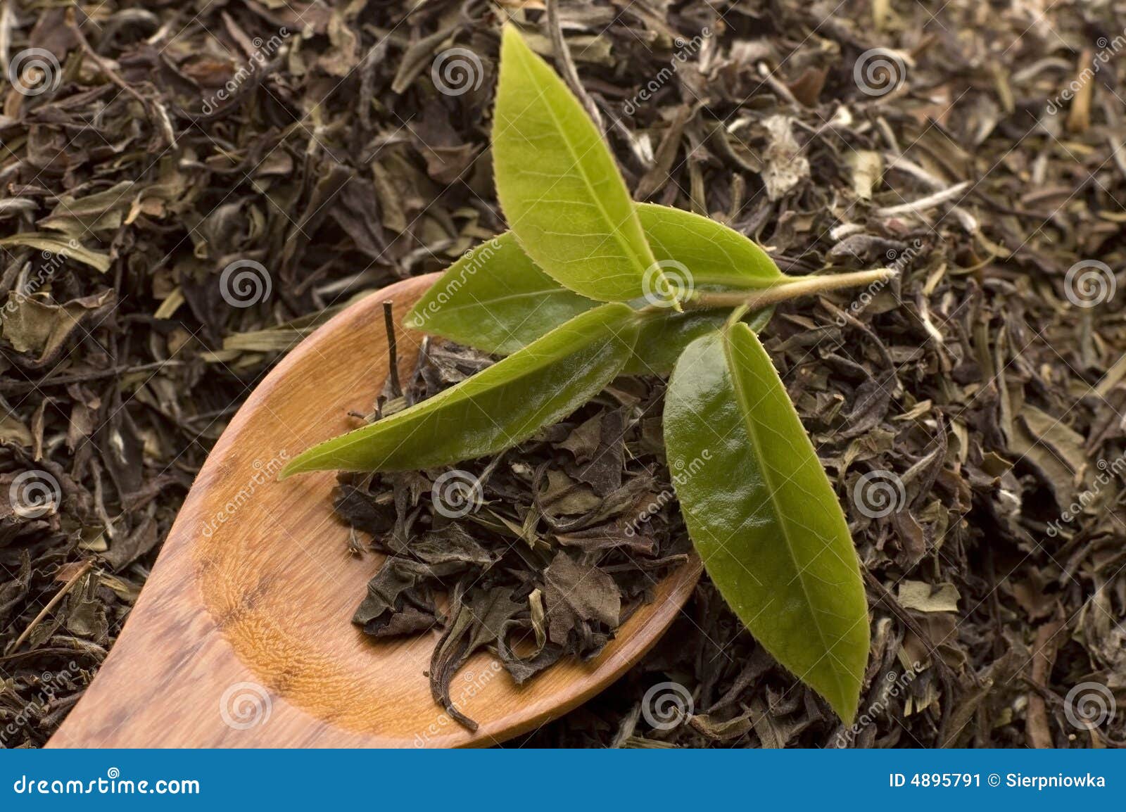 Tea stock image. Image of leaves, seasoning, smell, branch - 4895791