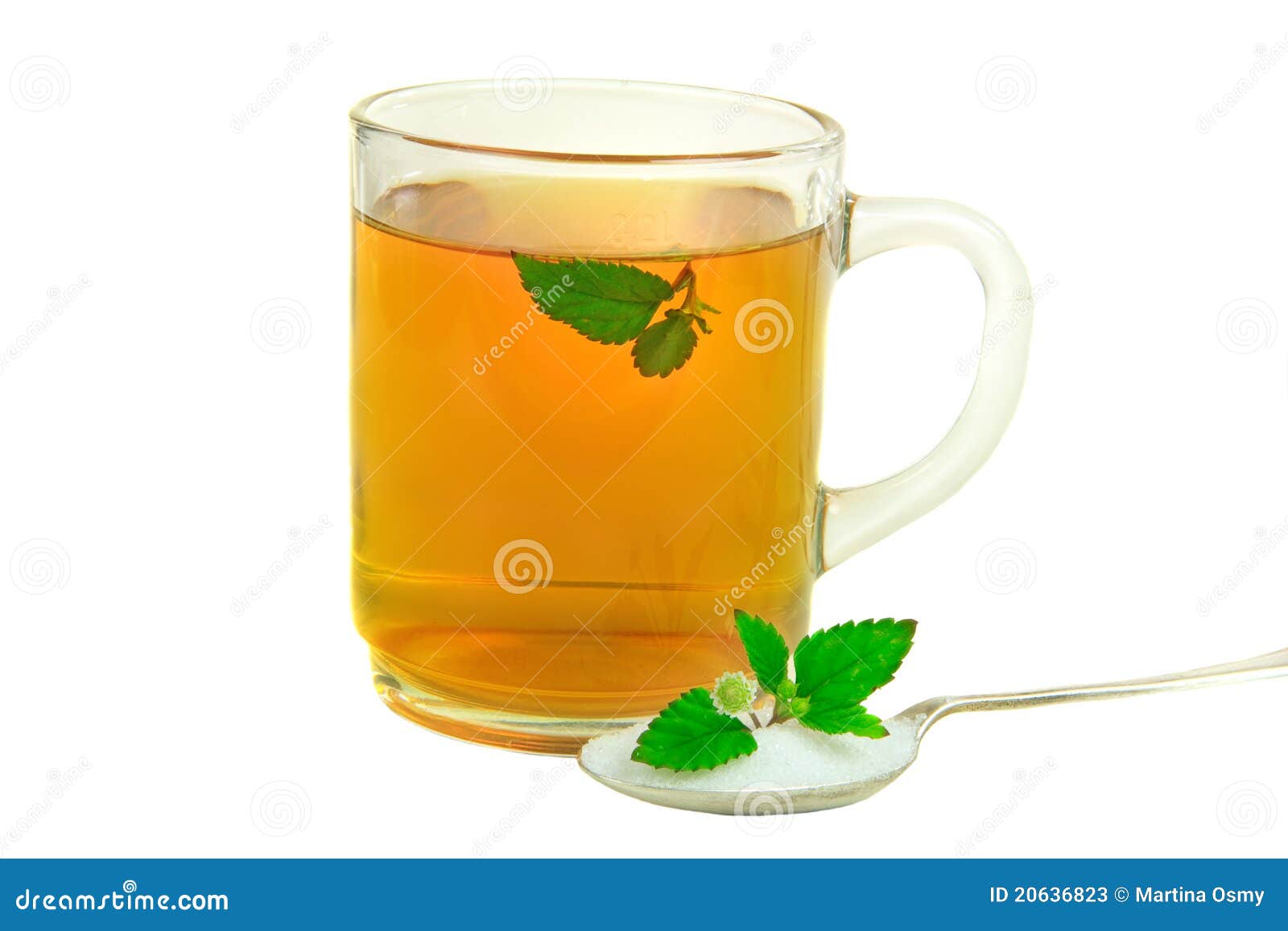 Tea with Aztec Sweet Herb stock image. Image of remedy - 20636823