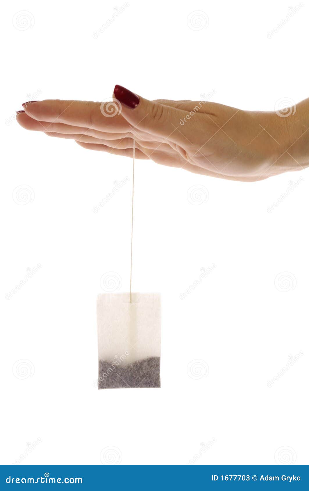 Tea bag stock image. Image of drink, healthy, england - 1677703