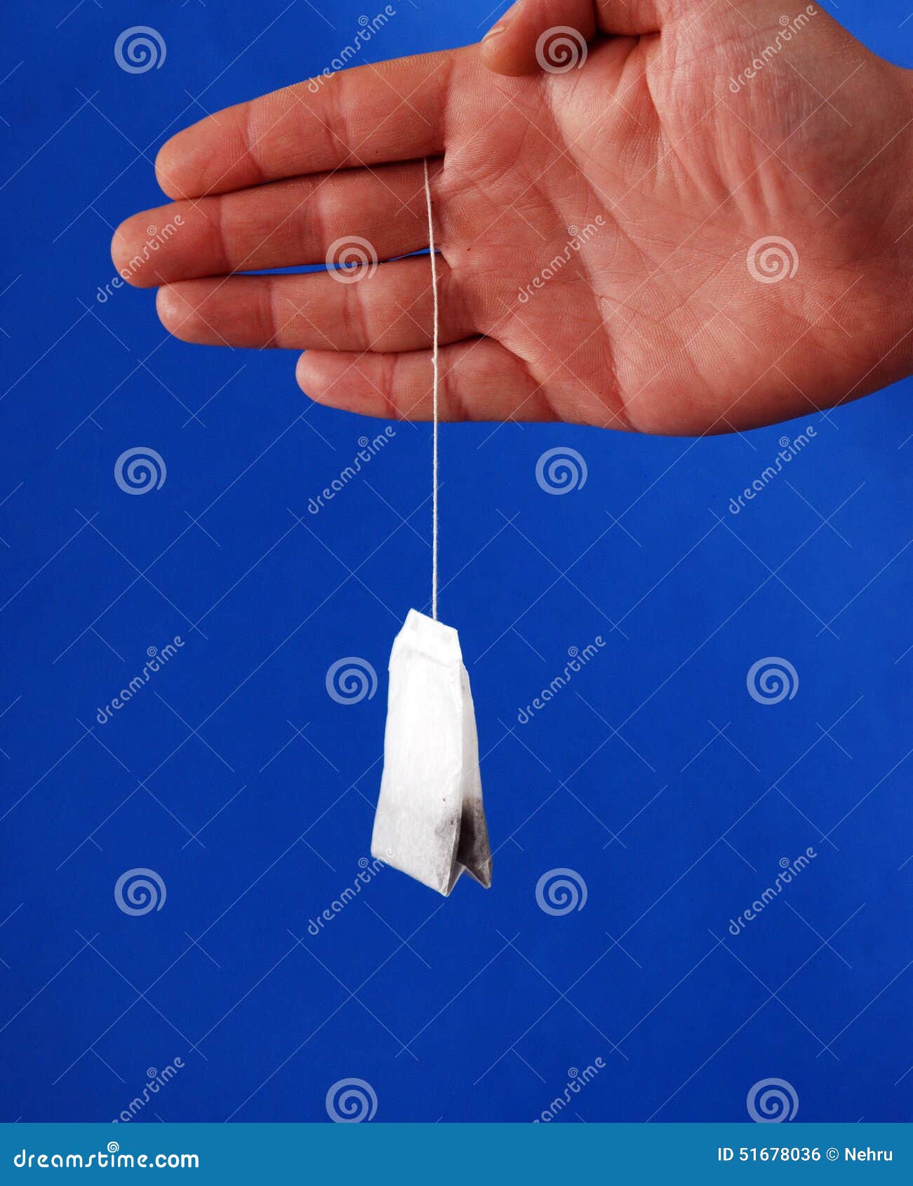 Tea bag stock photo. Image of isolate, diet, isolated - 51678036