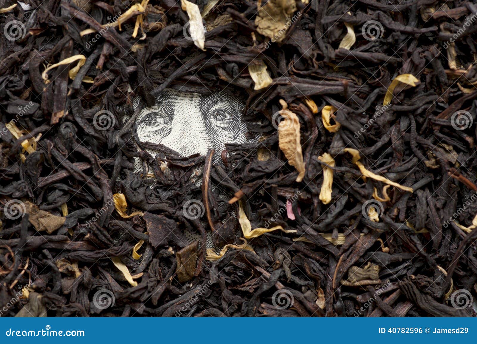Tea on bank note stock photo. Image of euro, season, government - 40782596