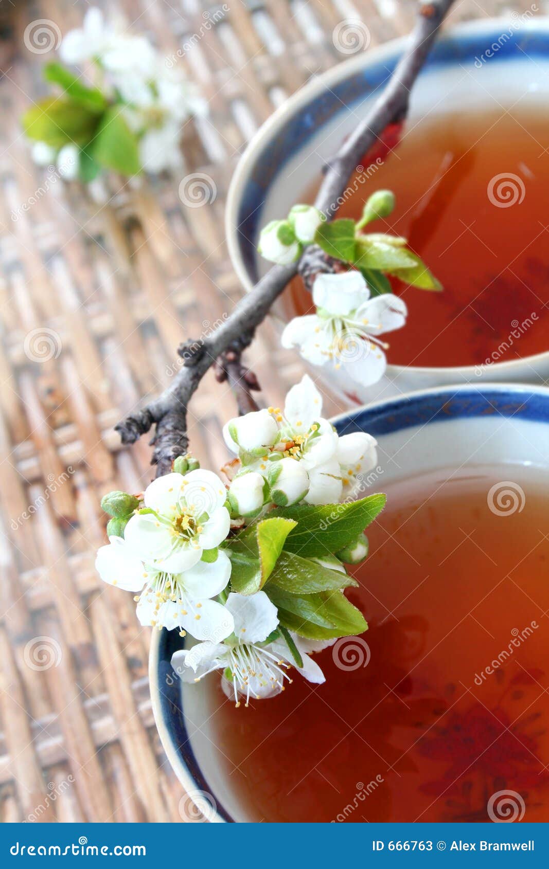 Tea and Blossom stock image. Image of organic, assam, drink - 666763