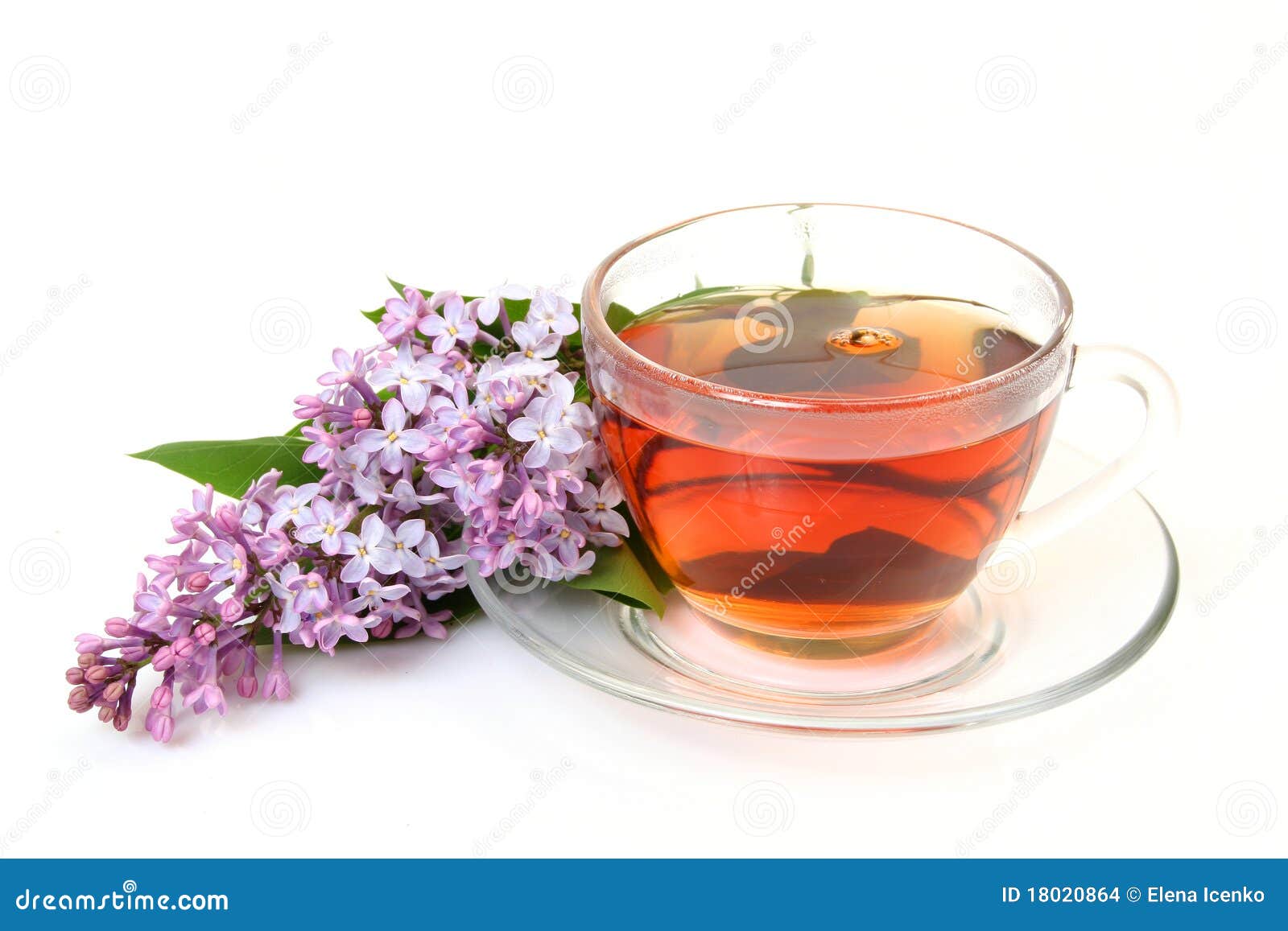 Tea and branch of a lilac stock photo. Image of drink - 18020864