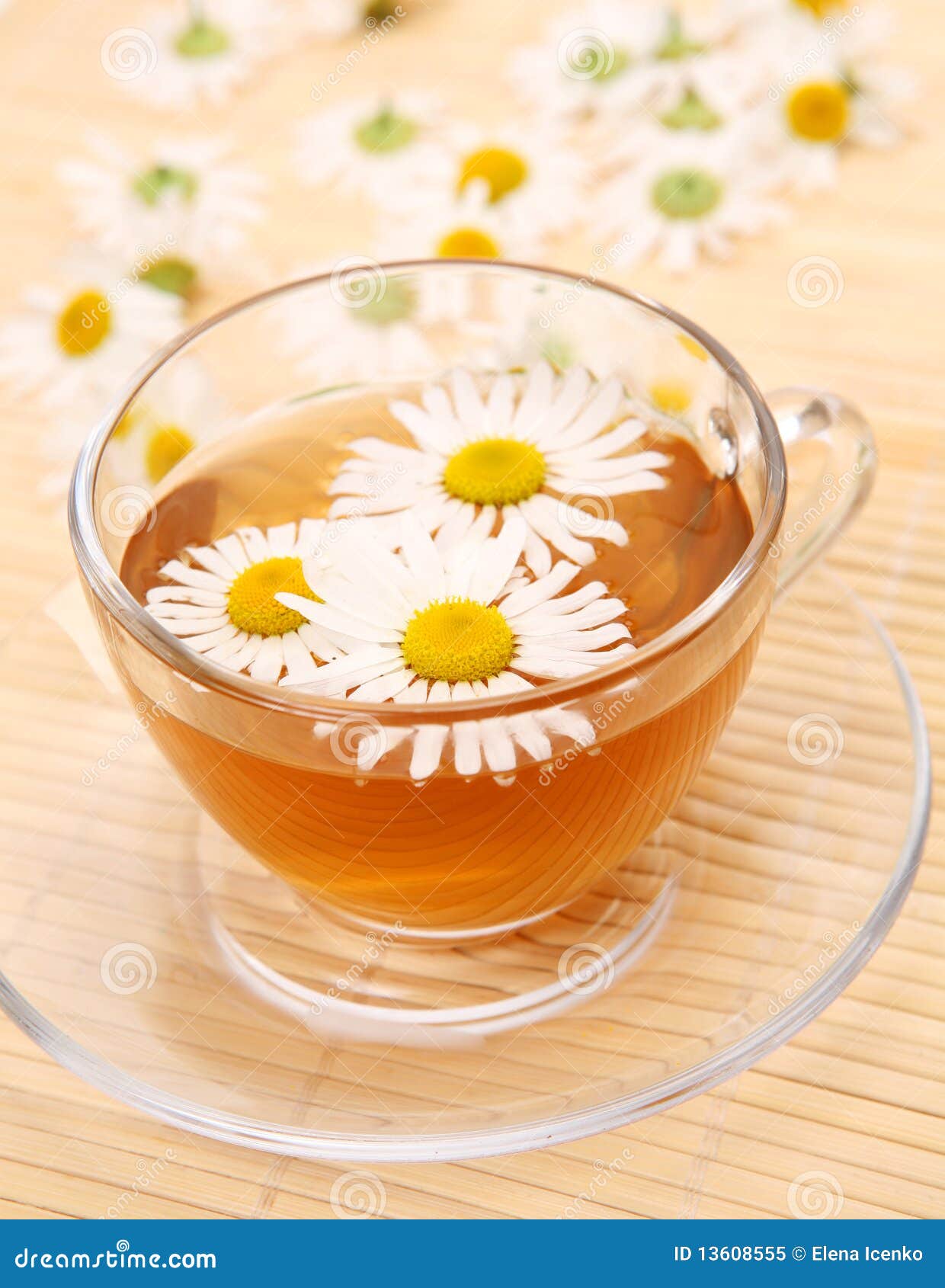 Tea with a camomile stock image. Image of filled, plant - 13608555