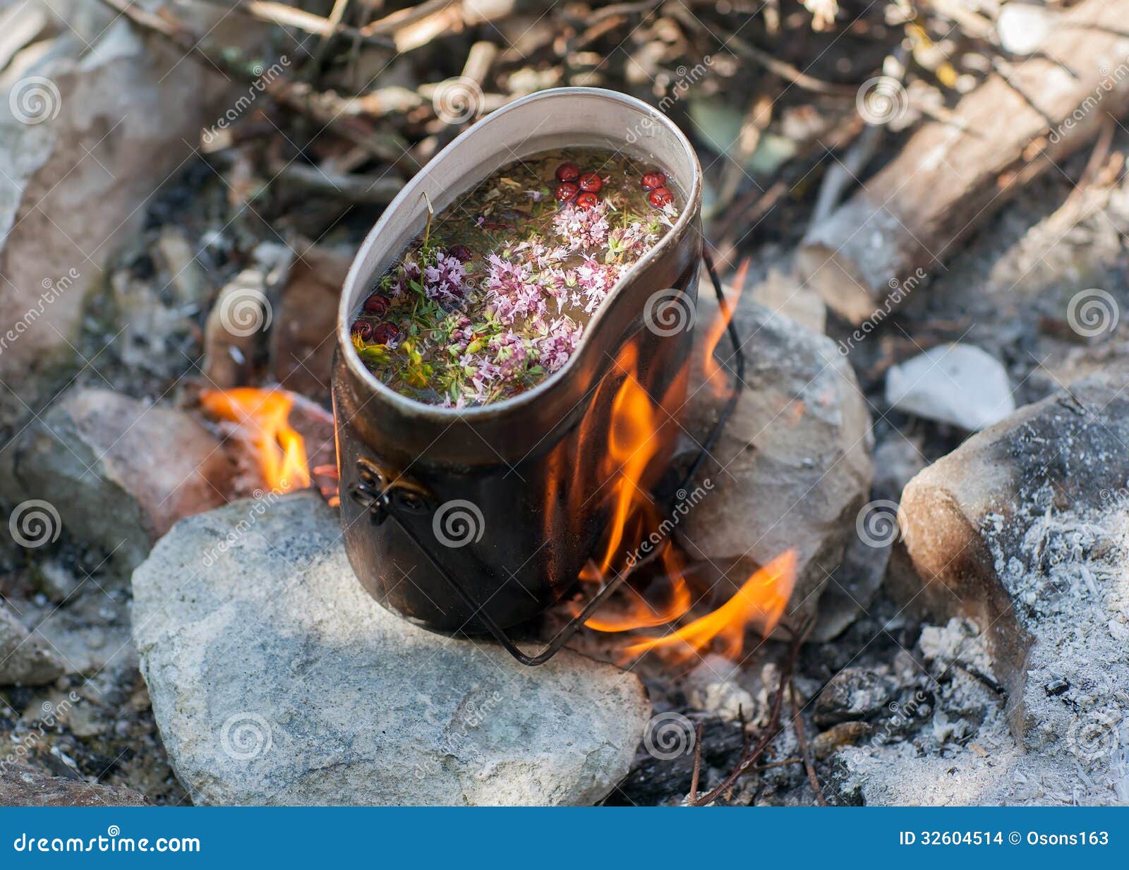 Tea on campfire. stock photo. Image of campfire, flowers - 32604514