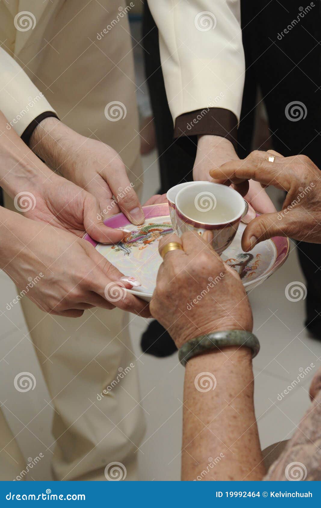 Tea ceremony stock photo. Image of serving, young, ceremony - 19992464