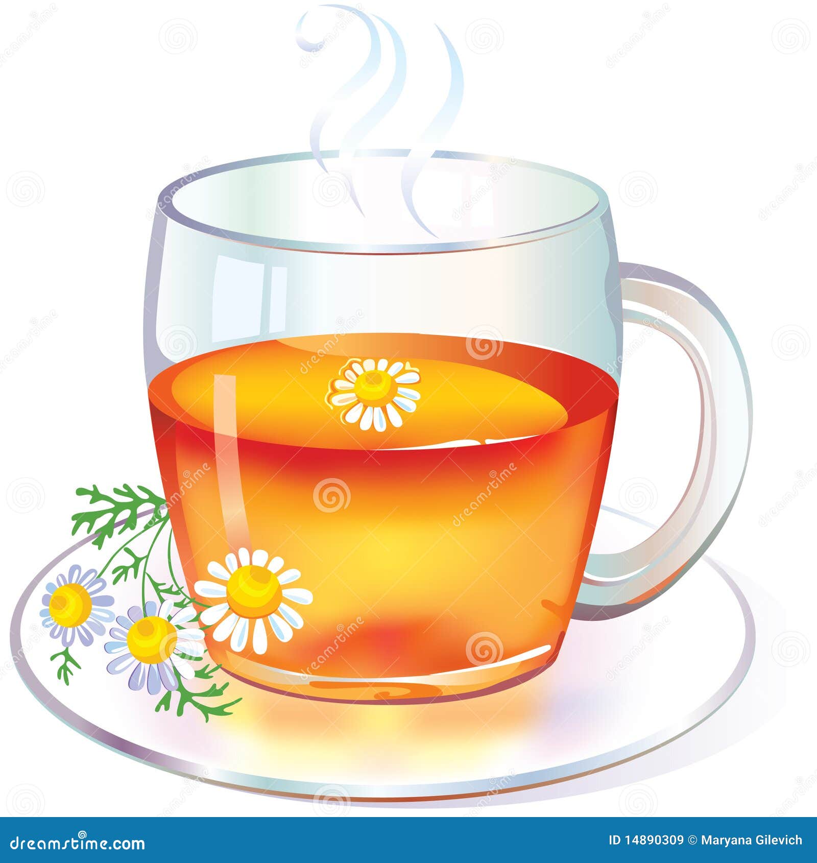 Tea with Chamomile stock vector. Illustration of healing - 14890309