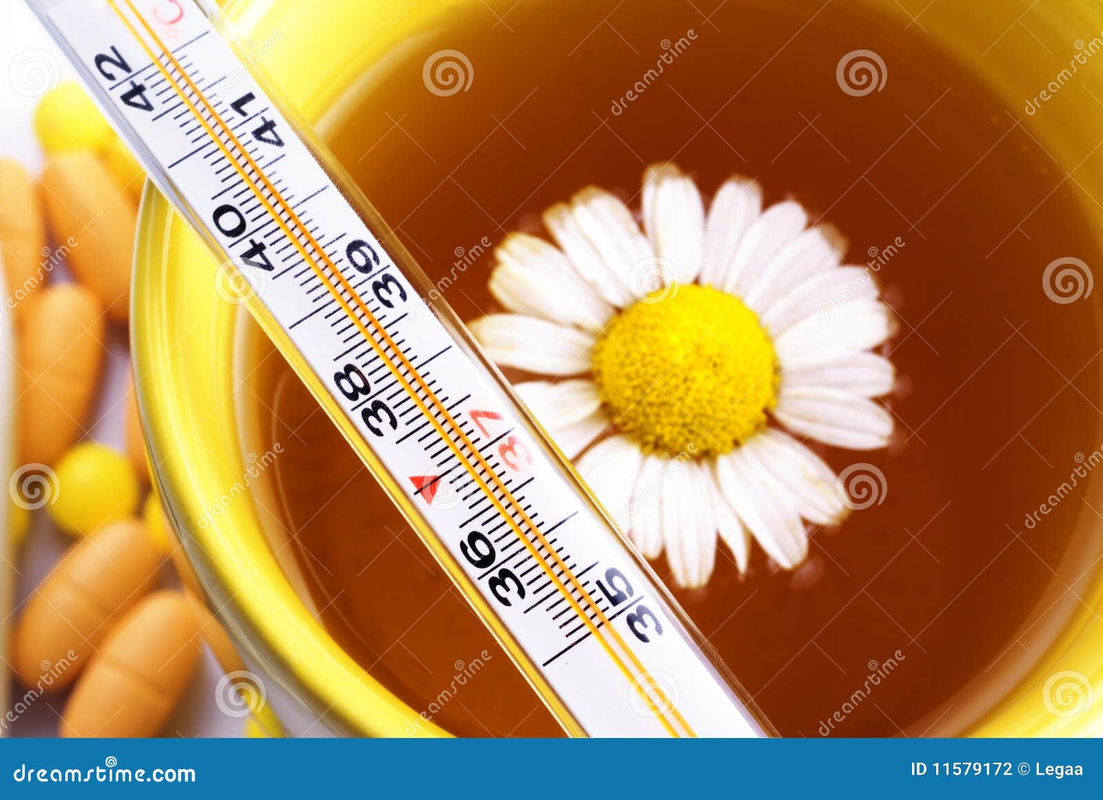 Tea with Chamomile Thermometer Stock Photo - Image of backgrounds ...