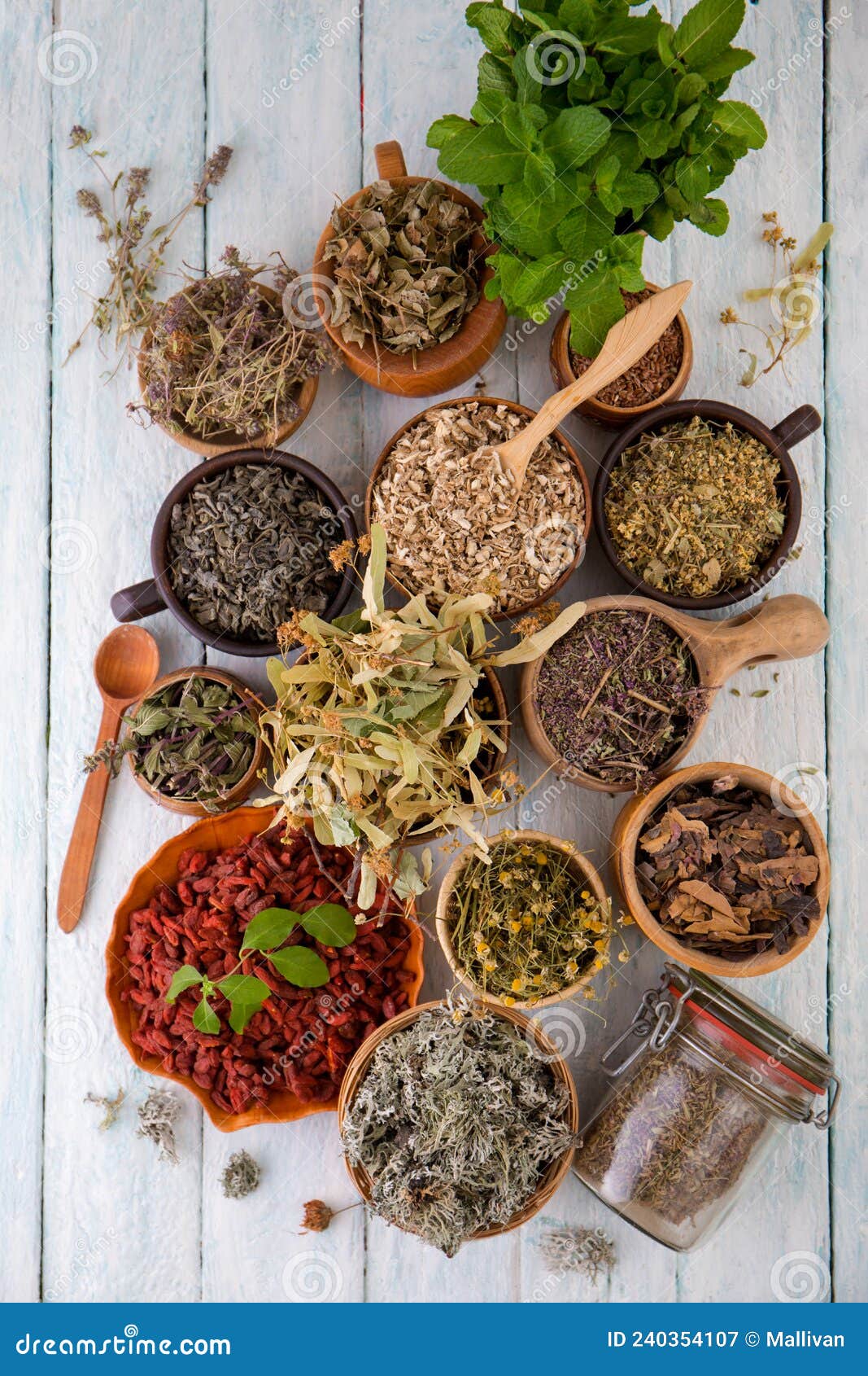 Tea collection stock image. Image of expectorant, herbs - 240354107