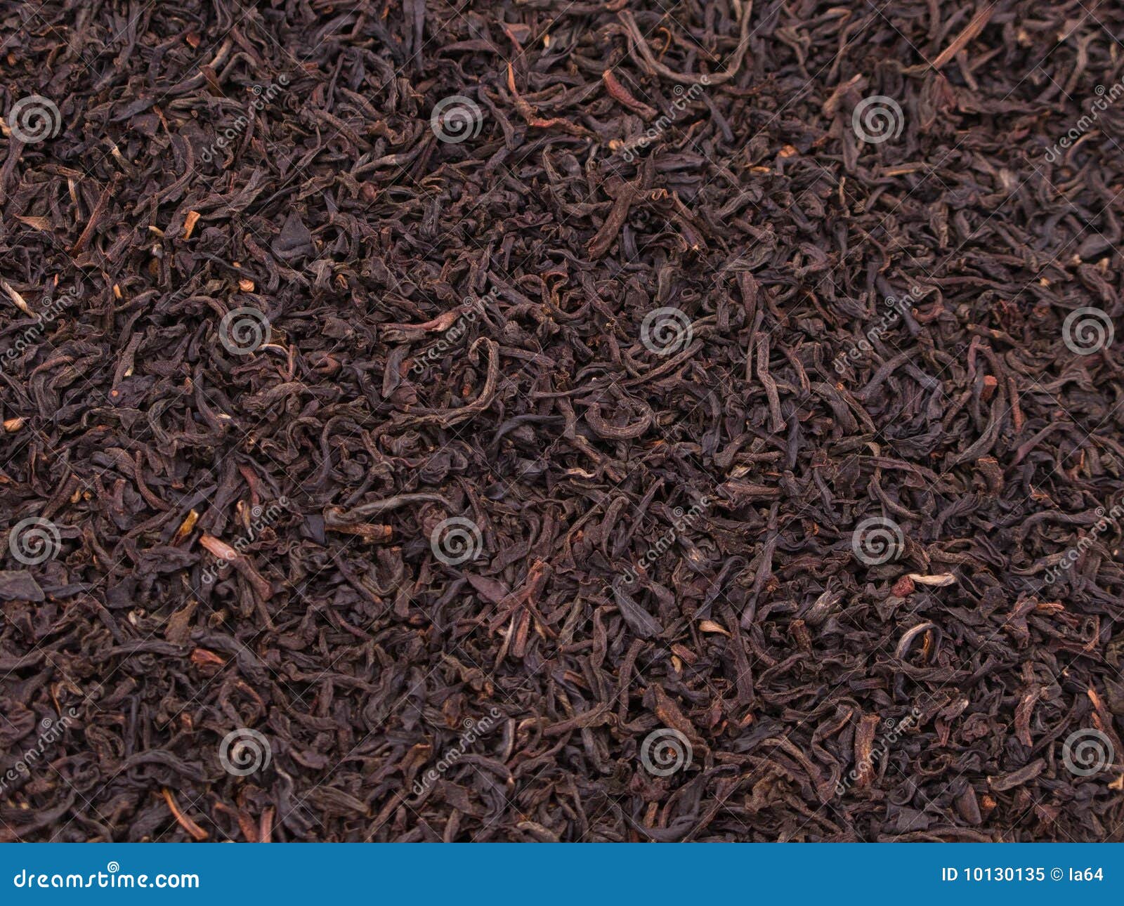 Tea crop stock image. Image of healthcare, asian, agriculture - 10130135