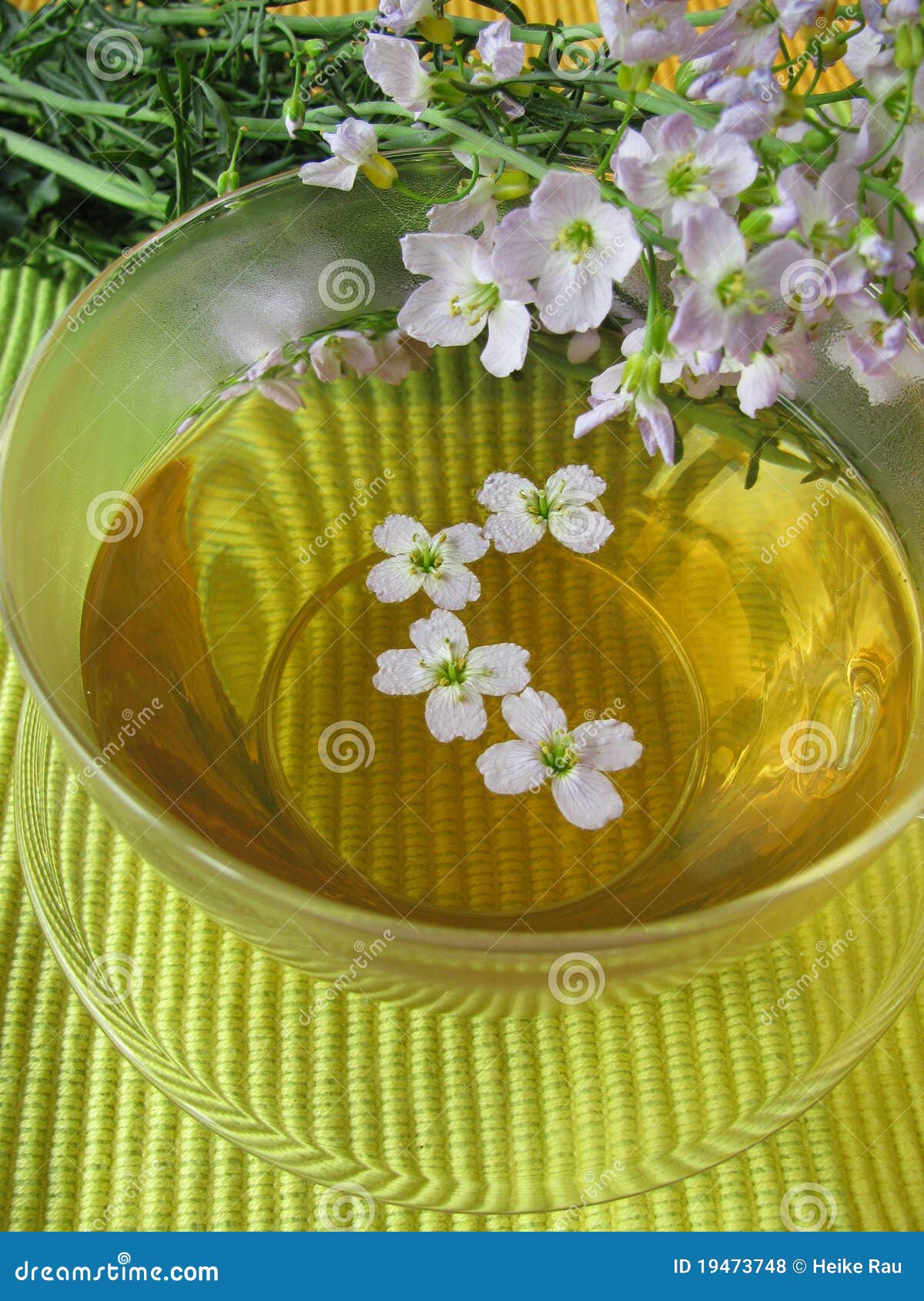 Cuckoo Flower Tea Stock Photos - Free & Royalty-Free Stock Photos from ...