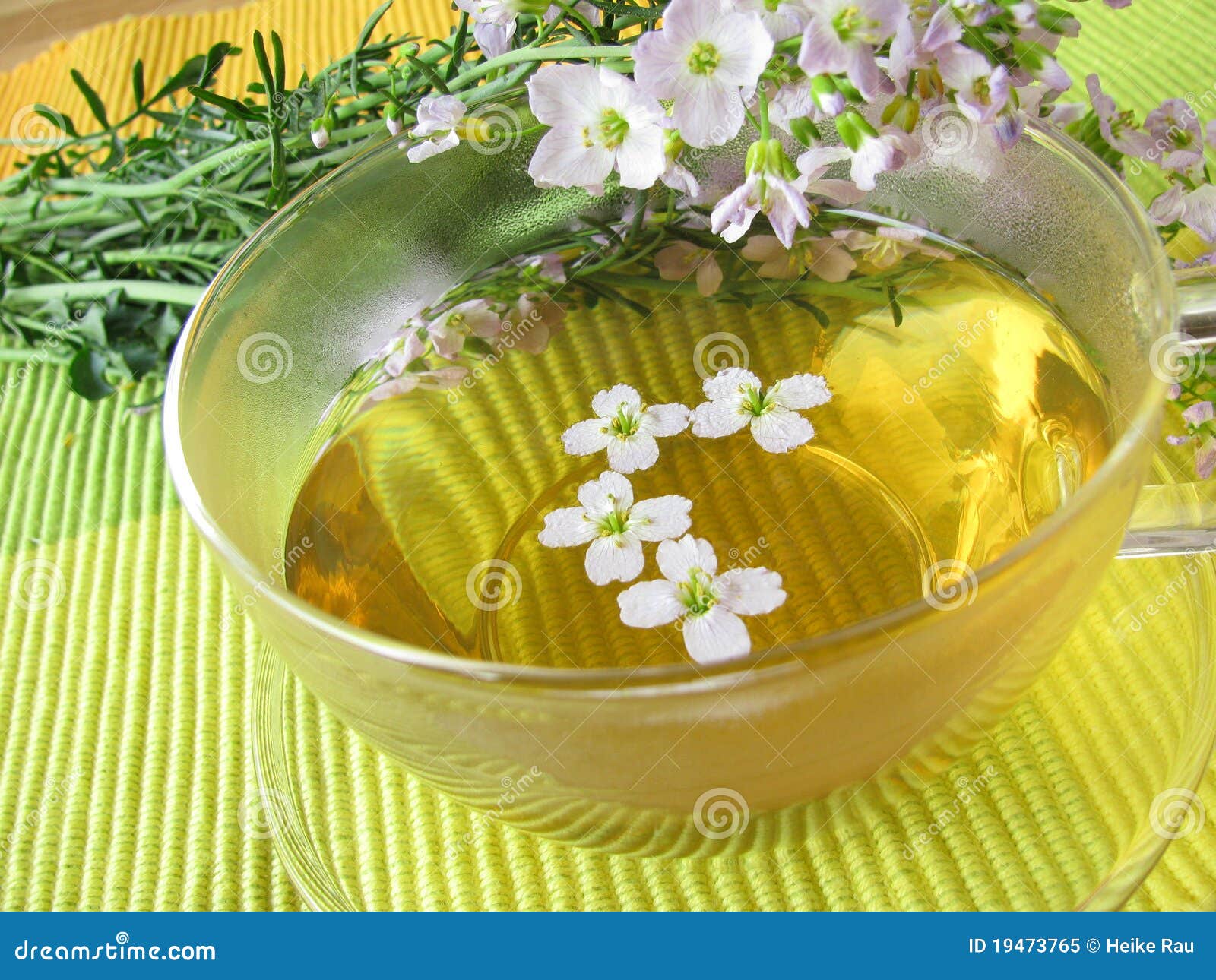 Tea with cuckoo flower stock image. Image of wild, like - 19473765