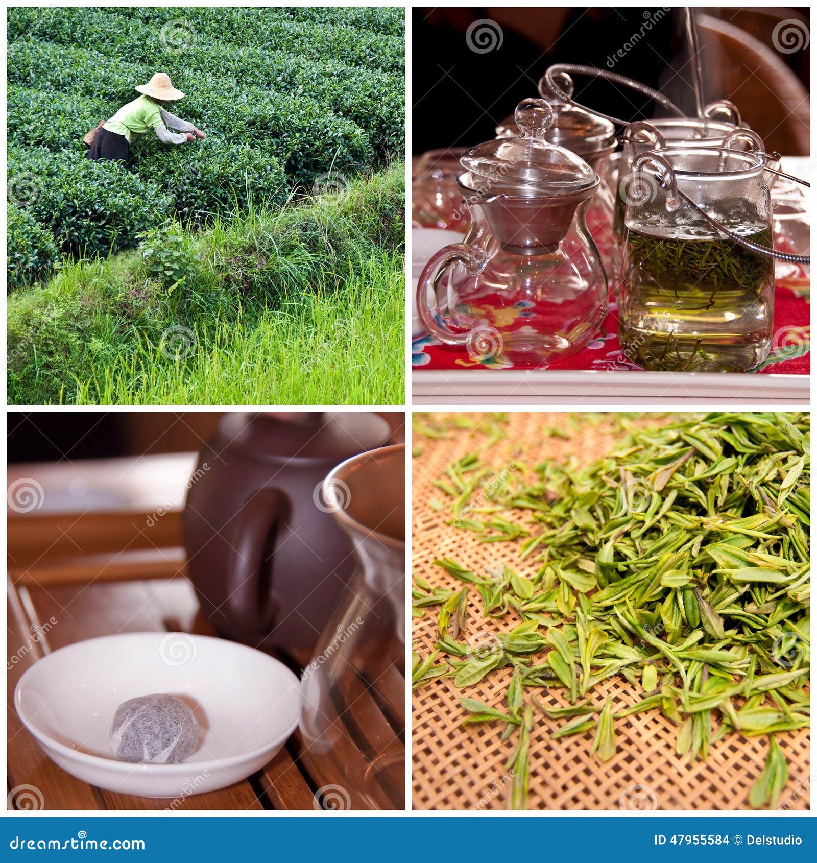Tea Culture and Degustation Collage Stock Photo - Image of chinese ...