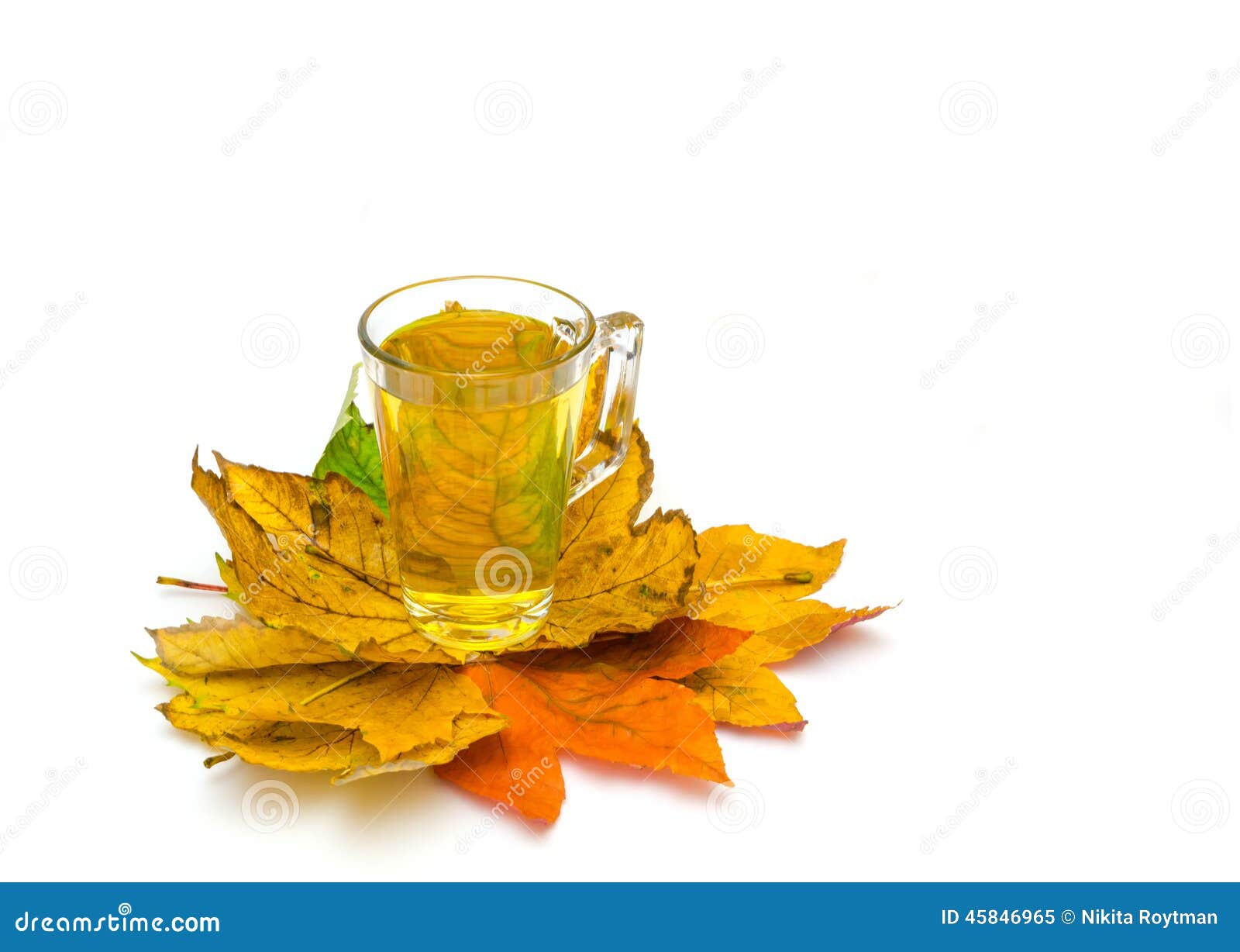 Tea cup with autumn leaves stock image. Image of isolated - 45846965