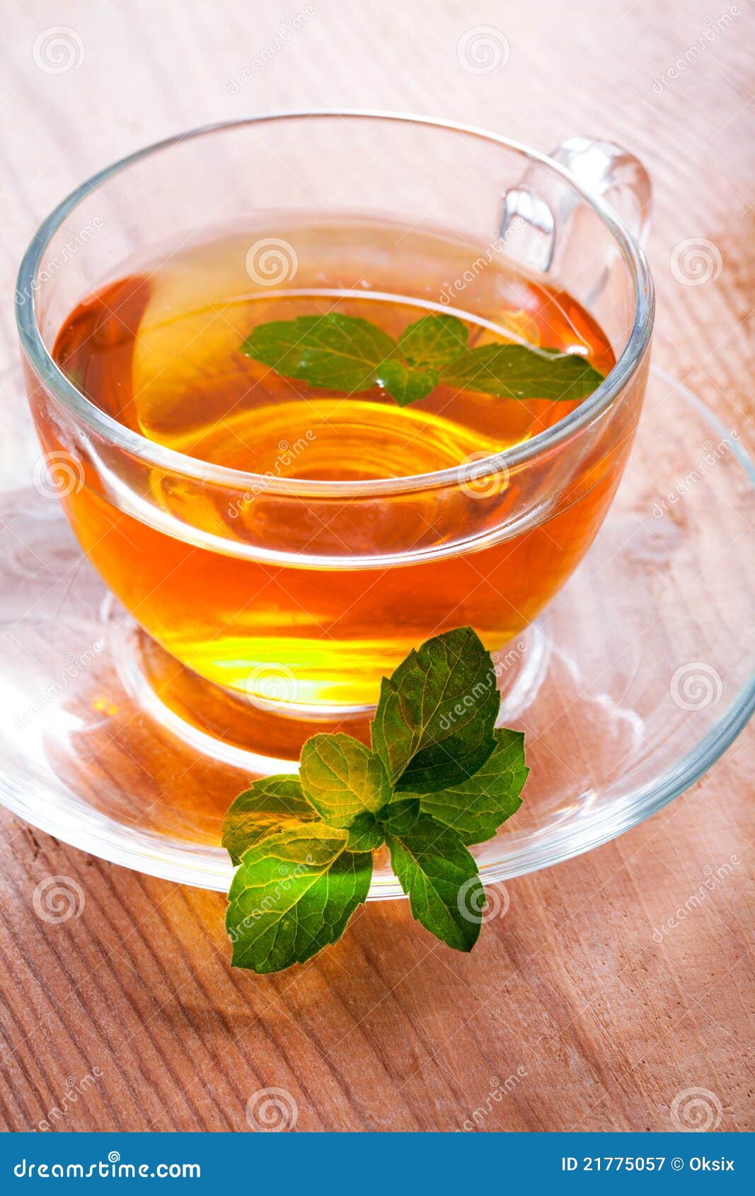 Tea cup with mint stock image. Image of goodness, mint - 21775057