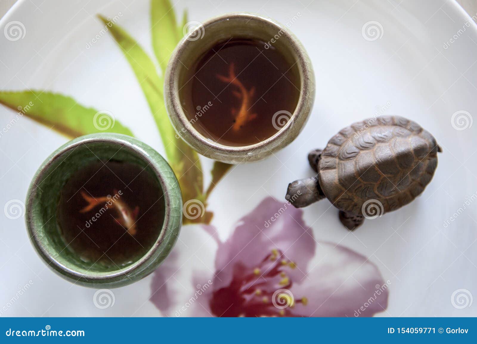 Tea Cup Plate Ceramic Turtle Stock Image - Image of natural, plate ...