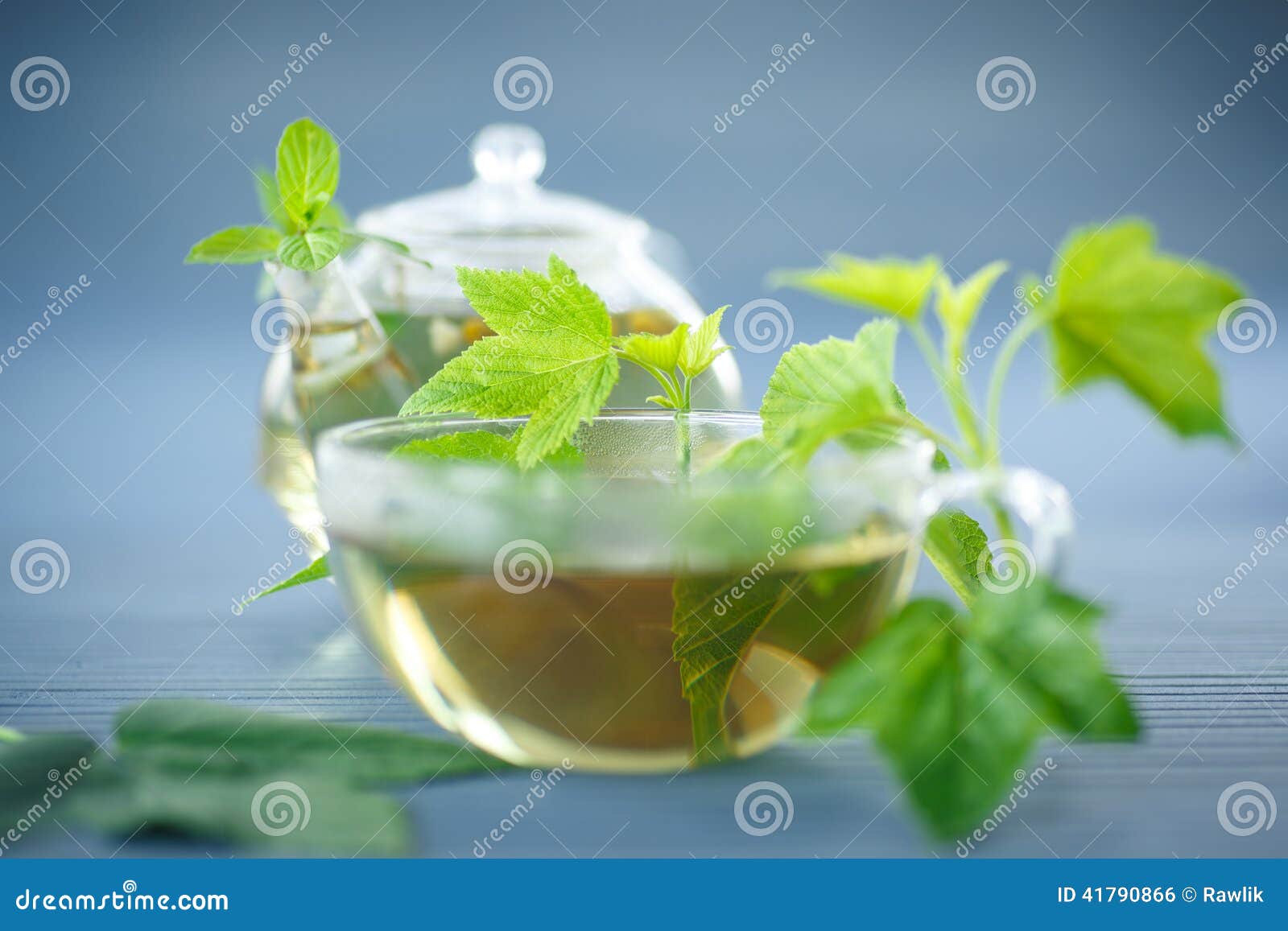 Tea with currant leaves stock photo. Image of closeup - 41790866