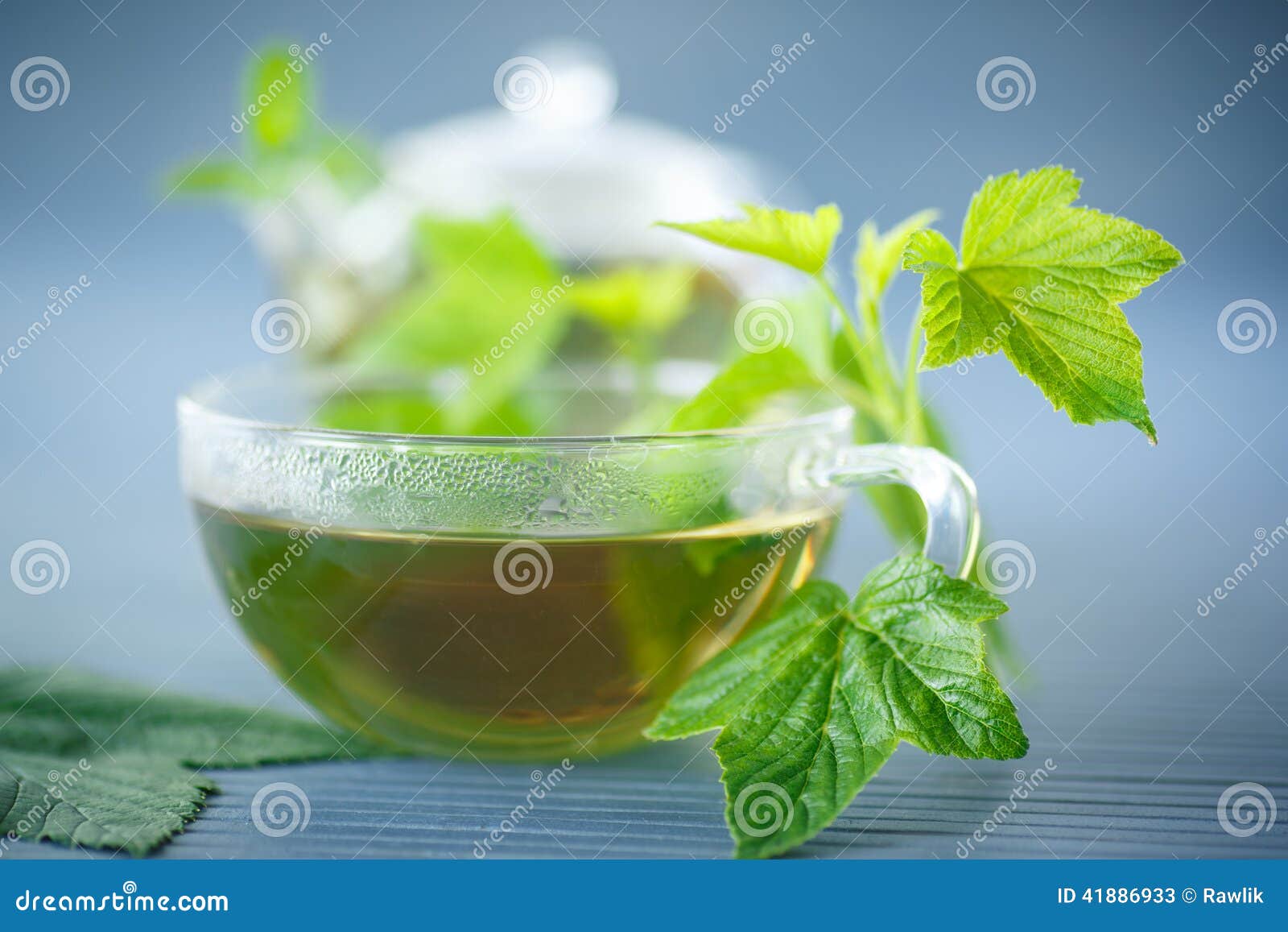 Tea with currant leaves stock image. Image of fruit, gourmet - 41886933