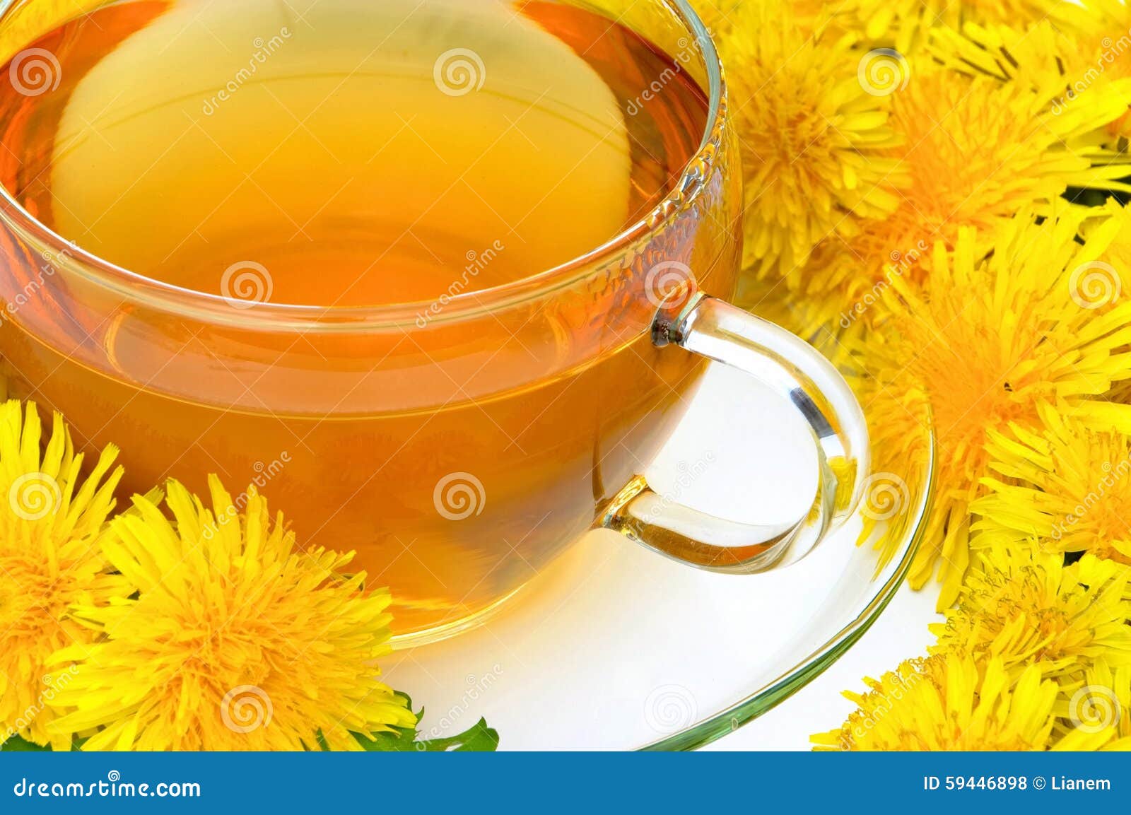 Tea dandelion stock photo. Image of flowers, teacup, taraxacum - 59446898