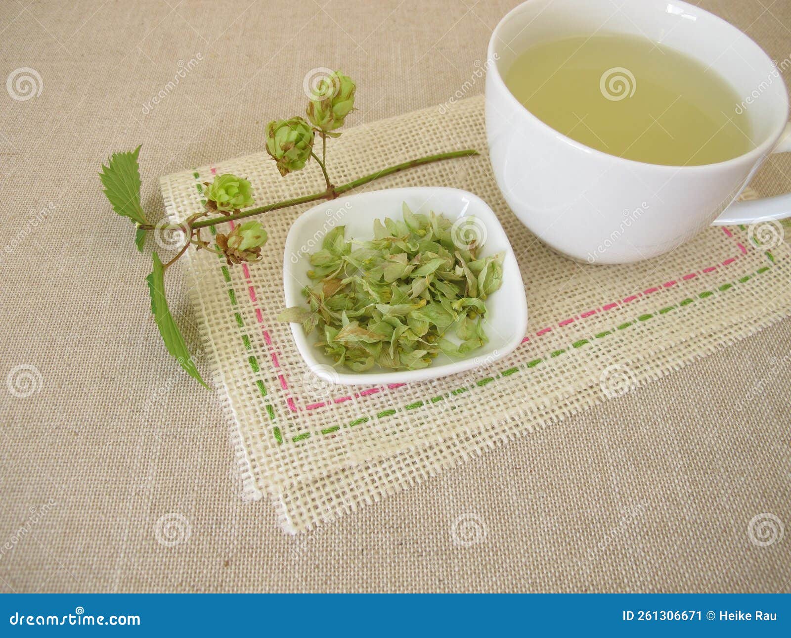 Tea with dried hop flowers stock image. Image of cones - 261306671