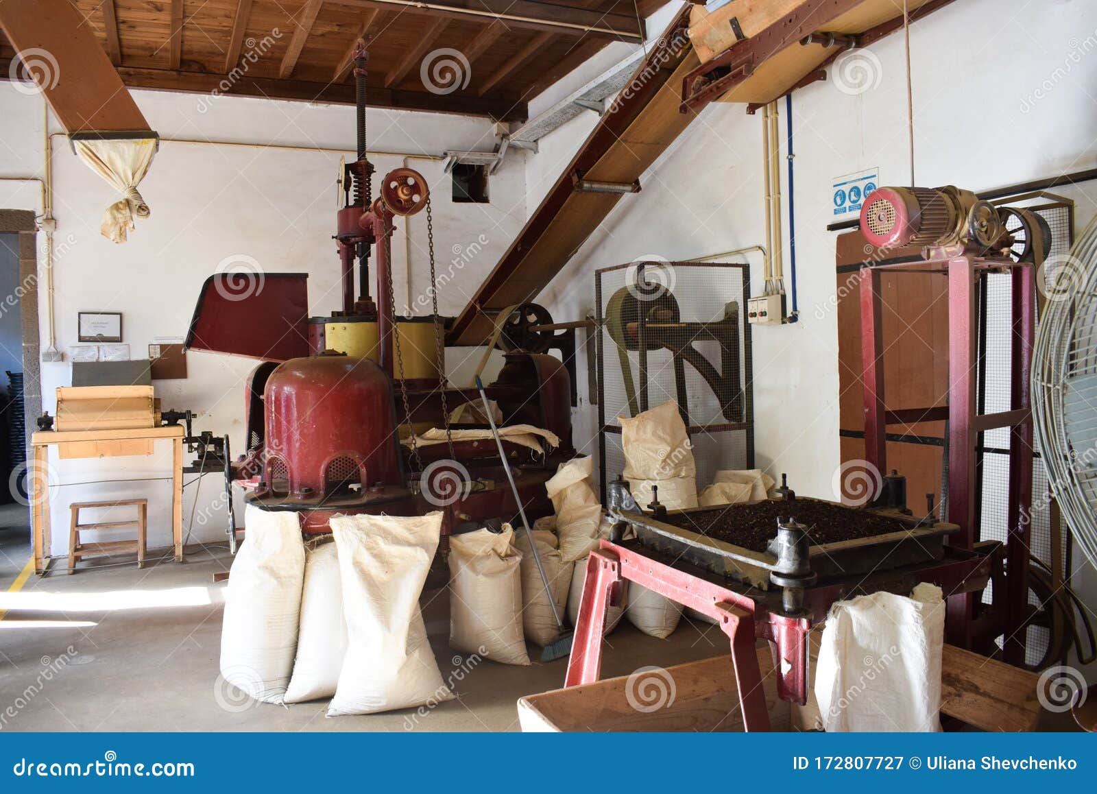 Tea Factory Inside, Equipment and Process Stock Image - Image of ...