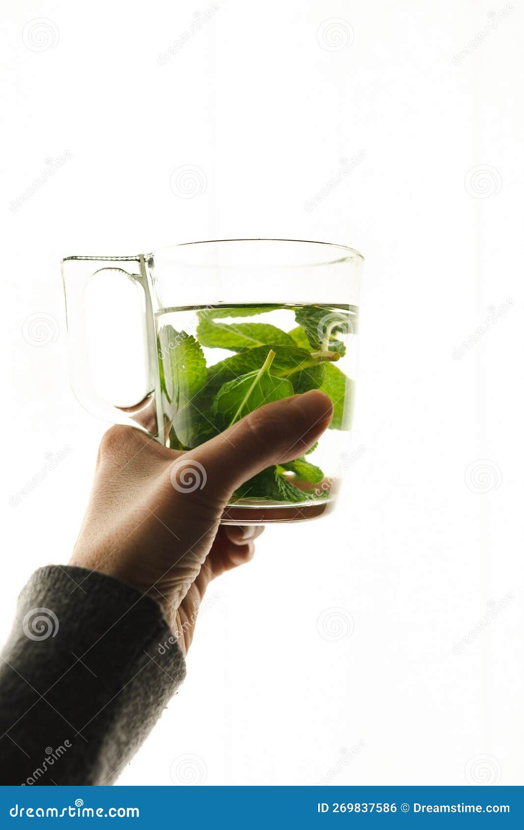 Hot Tea with Fresh Mint Leaves Stock Photo - Image of antioxidant, care ...