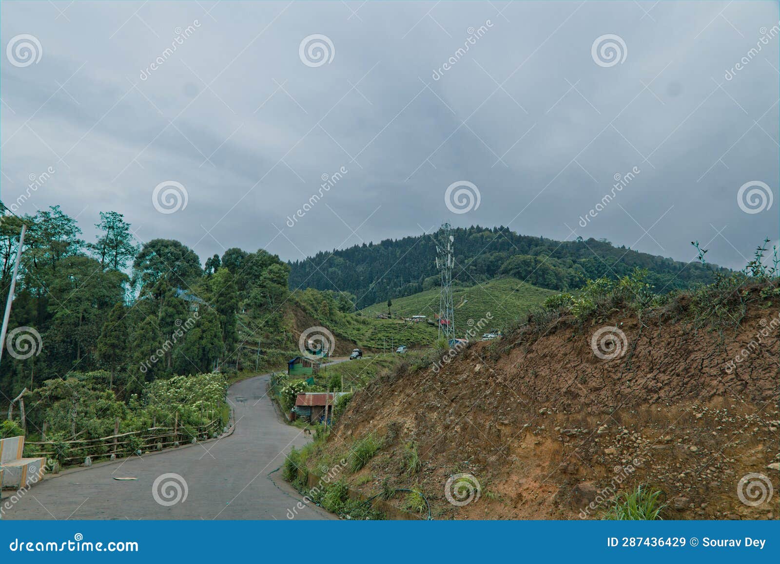 Tea Garden View in Kalimpong Town Stock Image - Image of indian, garden ...