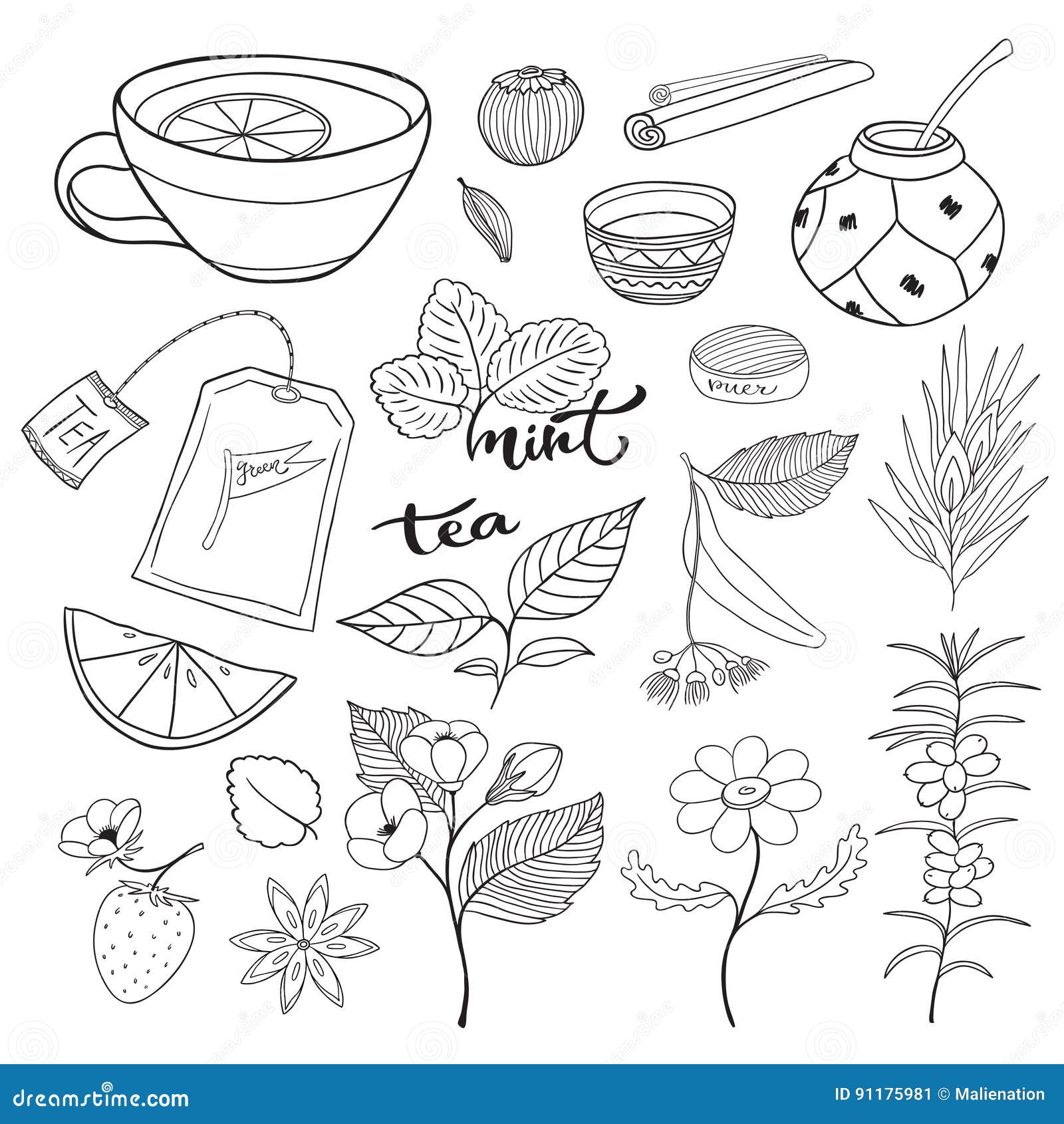 Vector Set Of Herbal Tea Labels With Willow Herb. Packaging Template ...
