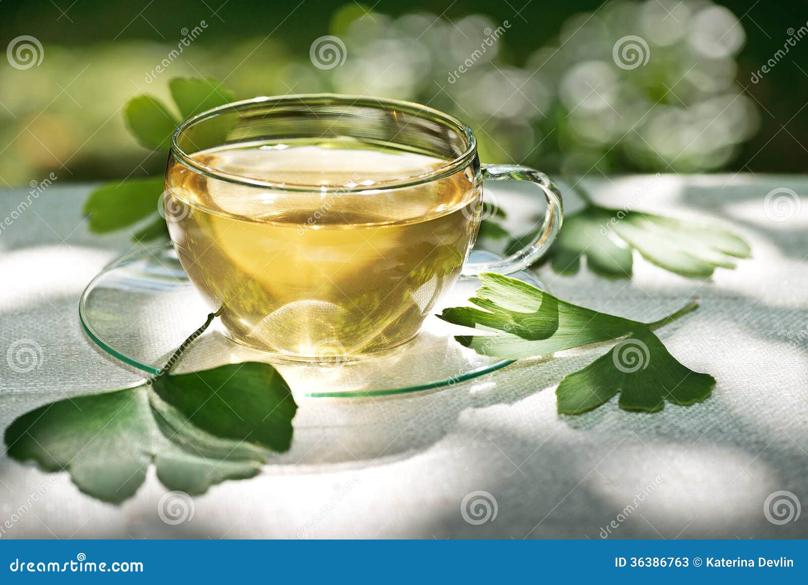 Tea with herbaceous plant stock image. Image of saucer - 36386763