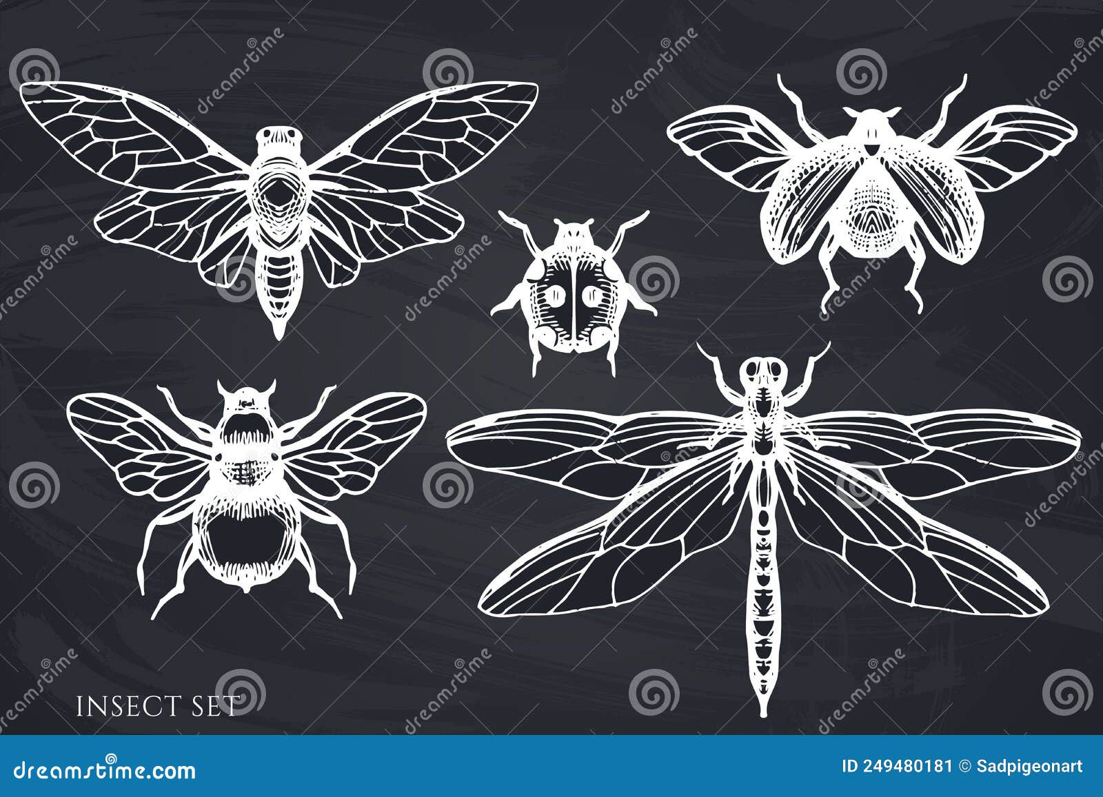 Tea Herbs Hand Drawn Vector Illustrations Collection. Chalk Insect ...