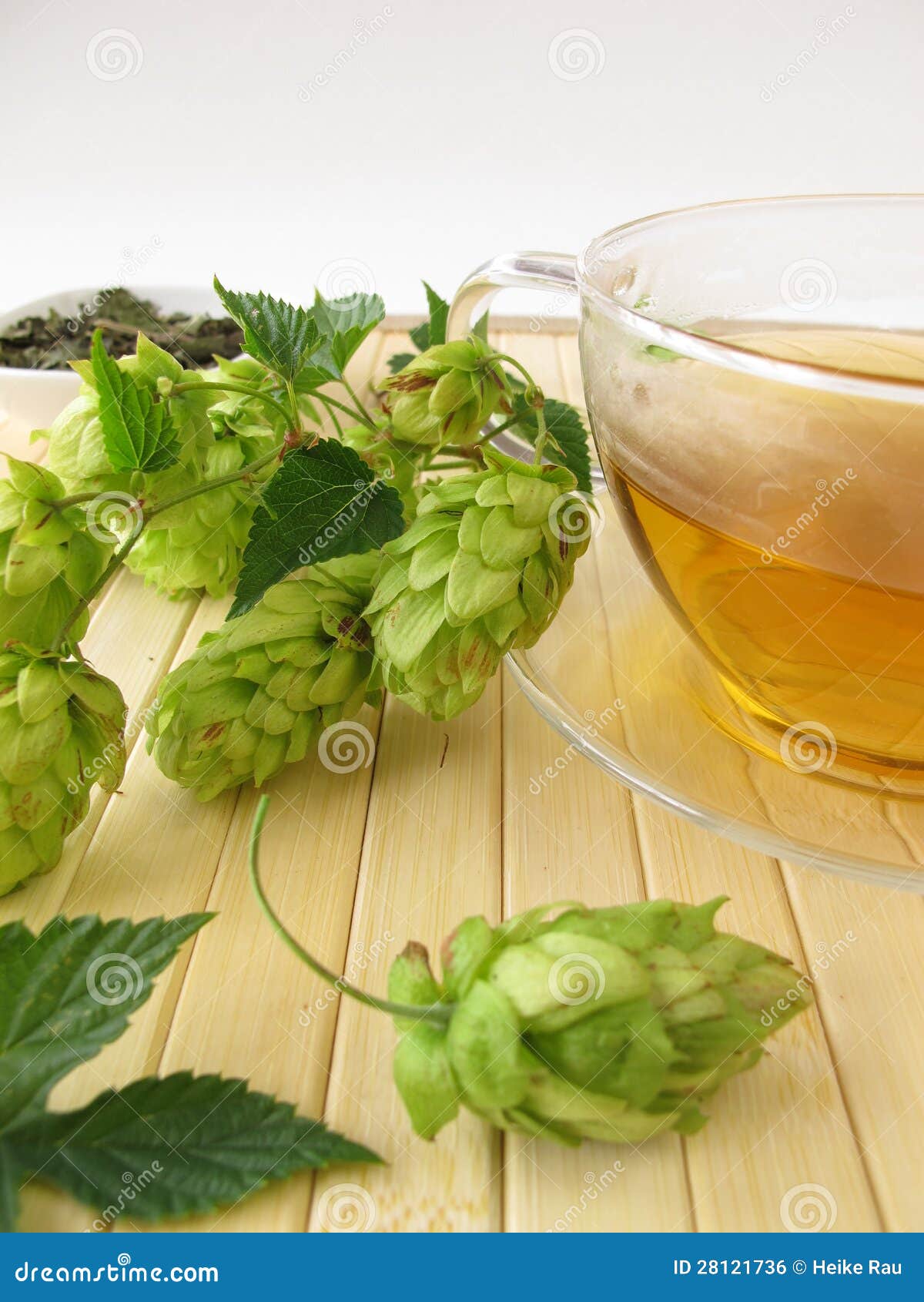 Tea with hops stock photo. Image of wellness, healing - 28121736