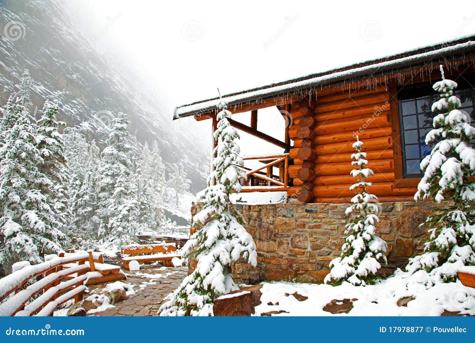 430 Canadian Tea Stock Photos - Free & Royalty-Free Stock Photos from ...