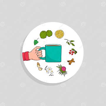 Tea Ingredients. Vector Set or Collection. Cup in Hand Stock Vector ...