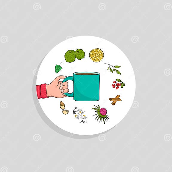 Tea Ingredients. Vector Set or Collection. Cup in Hand Stock Vector ...