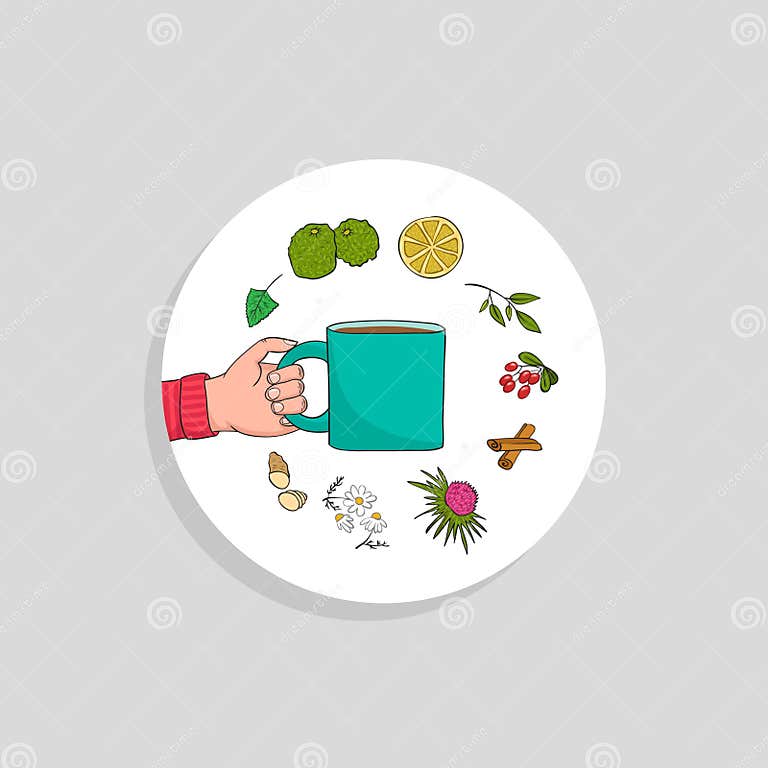 Tea Ingredients. Vector Set or Collection. Cup in Hand Stock Vector ...