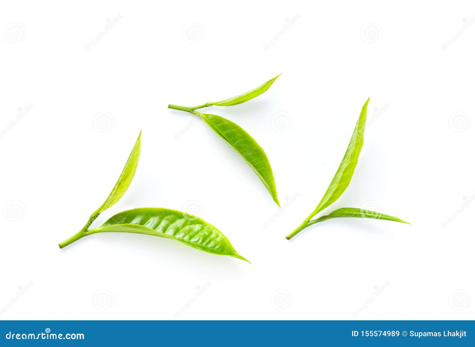 Tea Leaf Isolated on White Background. Stock Image - Image of isolated ...