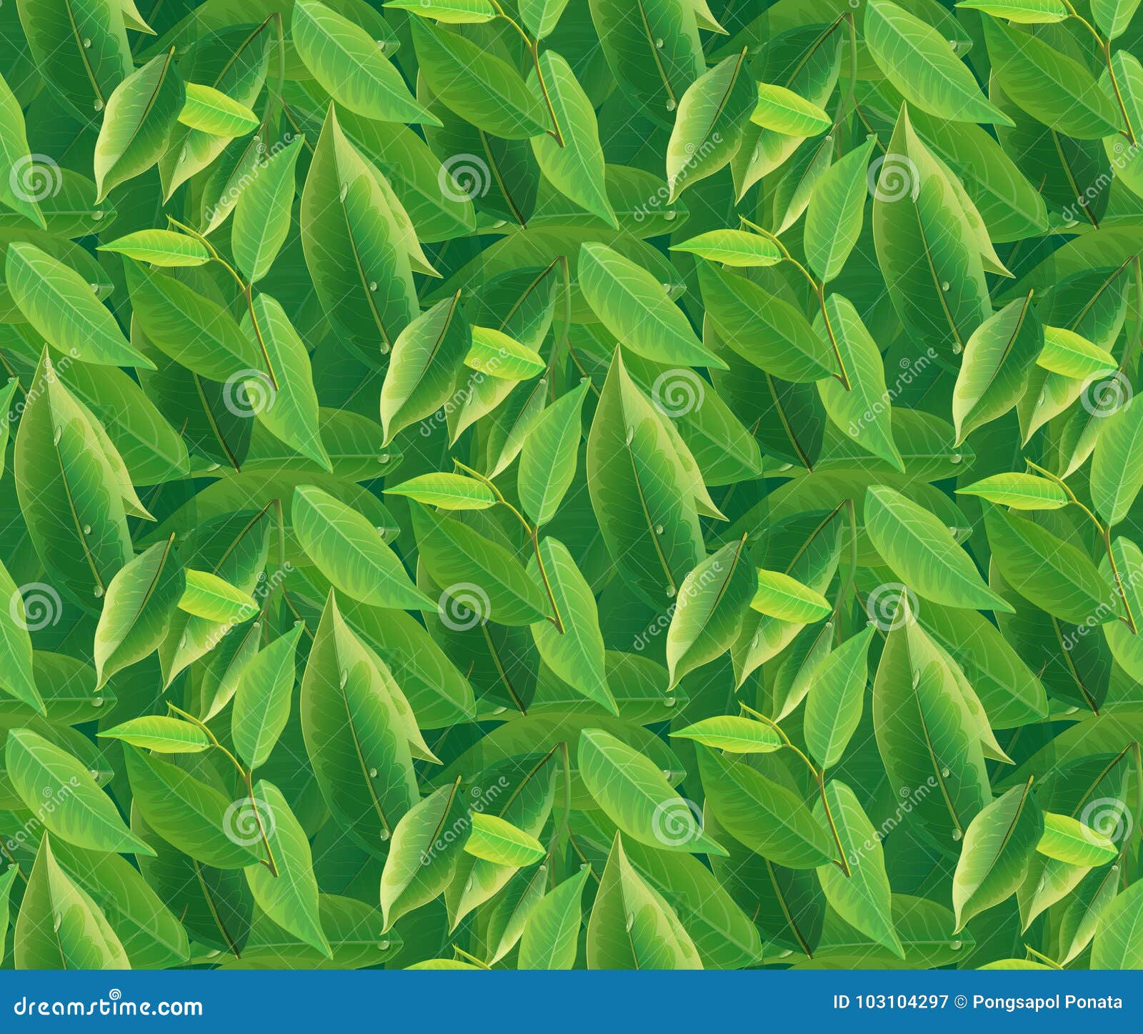 Tea leaf pattern stock image. Image of plant, branch - 103104297