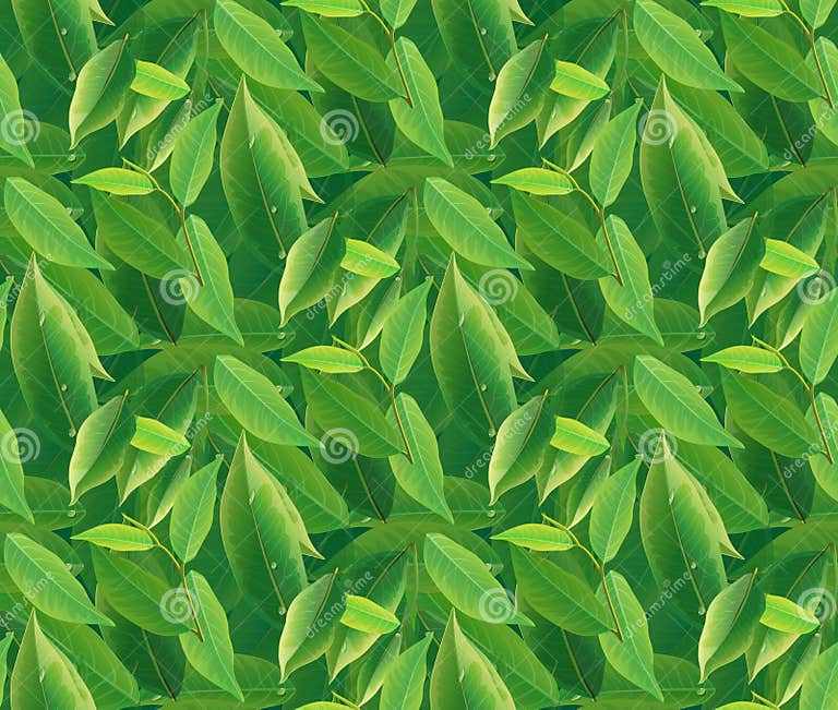 Tea leaf pattern stock image. Image of plant, branch - 103104297