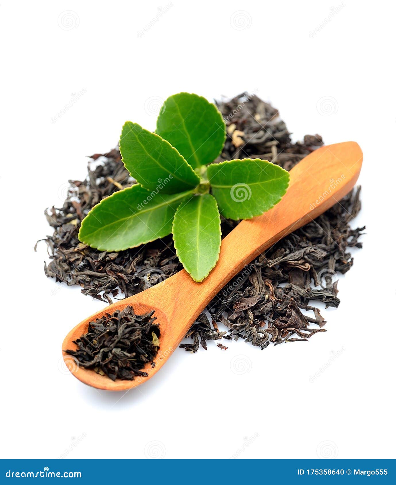 Tea leaves and dried tea stock photo. Image of phyto - 175358640