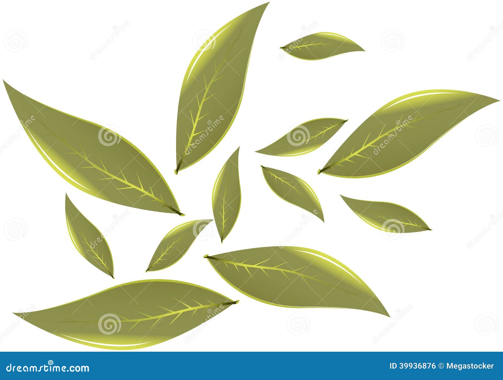 Tea Leaves Vector Illustration Stock Vector - Illustration of flora ...