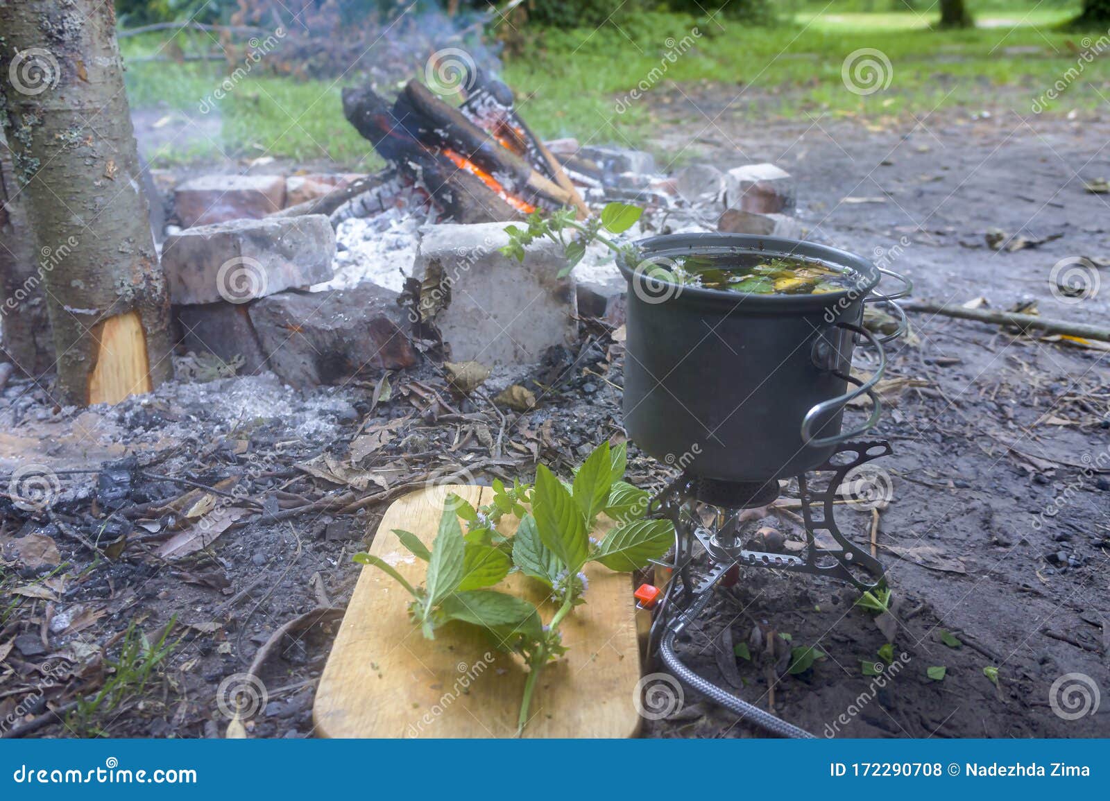 Tea with Lemon and Mint, Cooking Tea Over a Fire Stock Photo - Image of ...