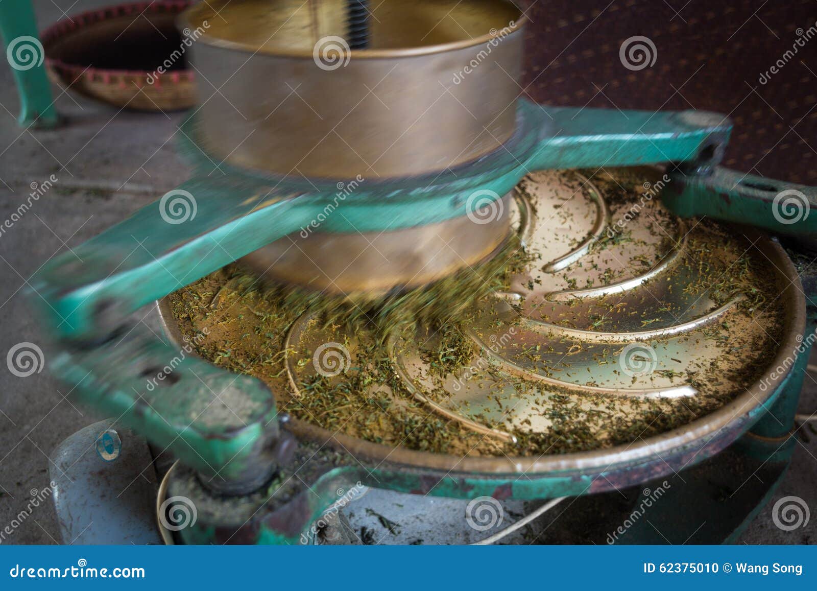 The tea making process stock photo. Image of food, plantation - 62375010