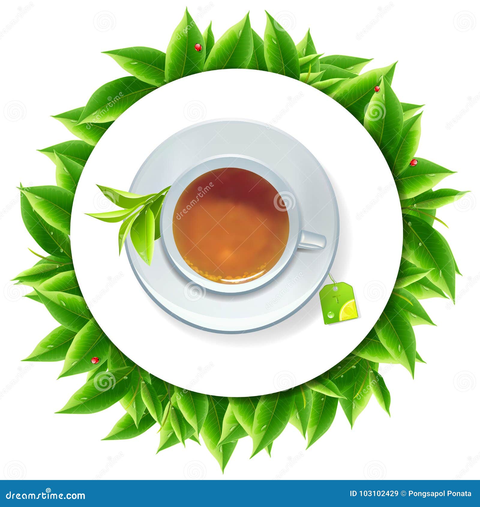 Tea manu backgrounds stock illustration. Illustration of health - 103102429